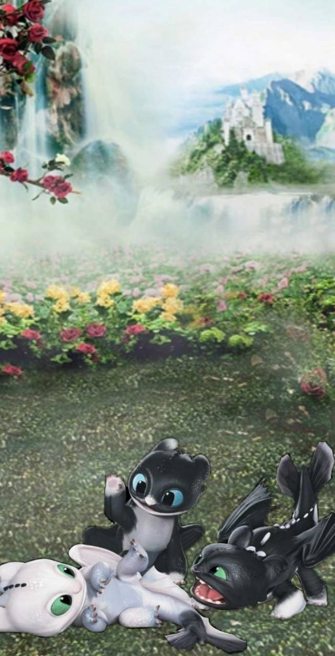 Baby Toothless Wallpapers - Wallpaper Cave