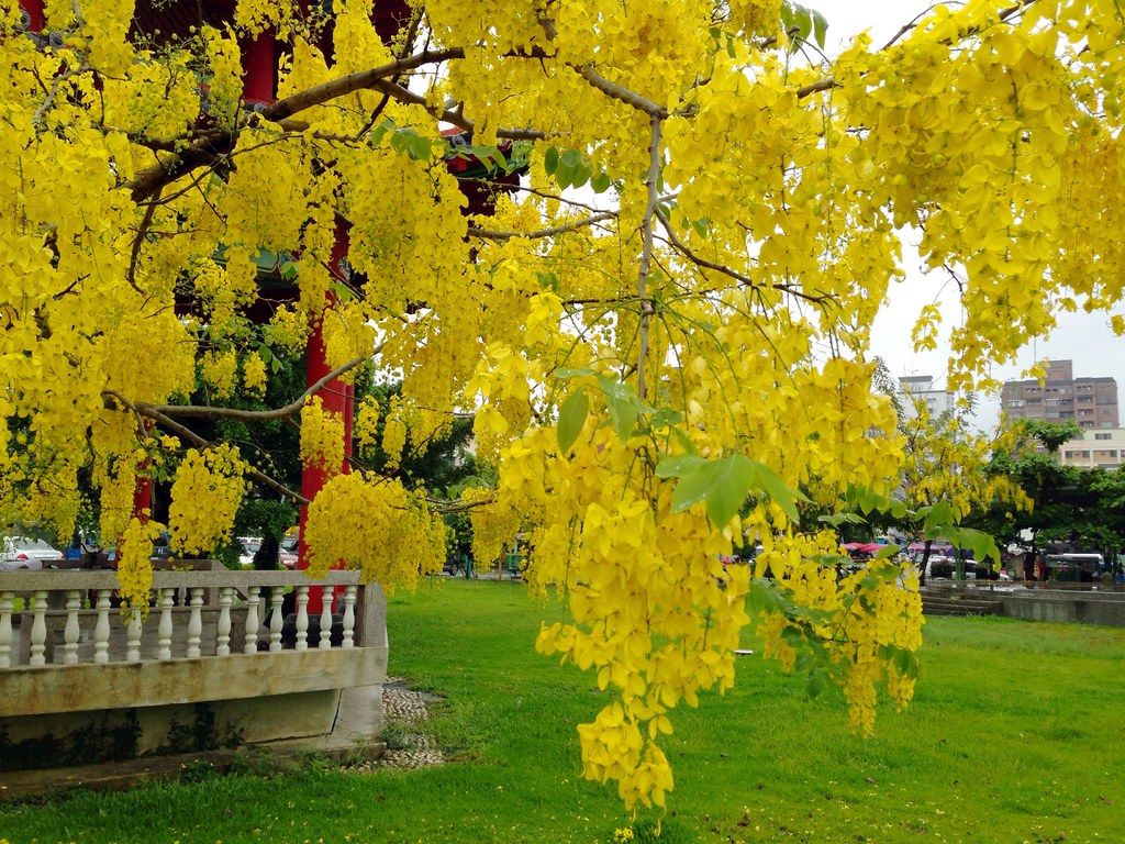 Kanikkonna Wallpapers - Wallpaper Cave