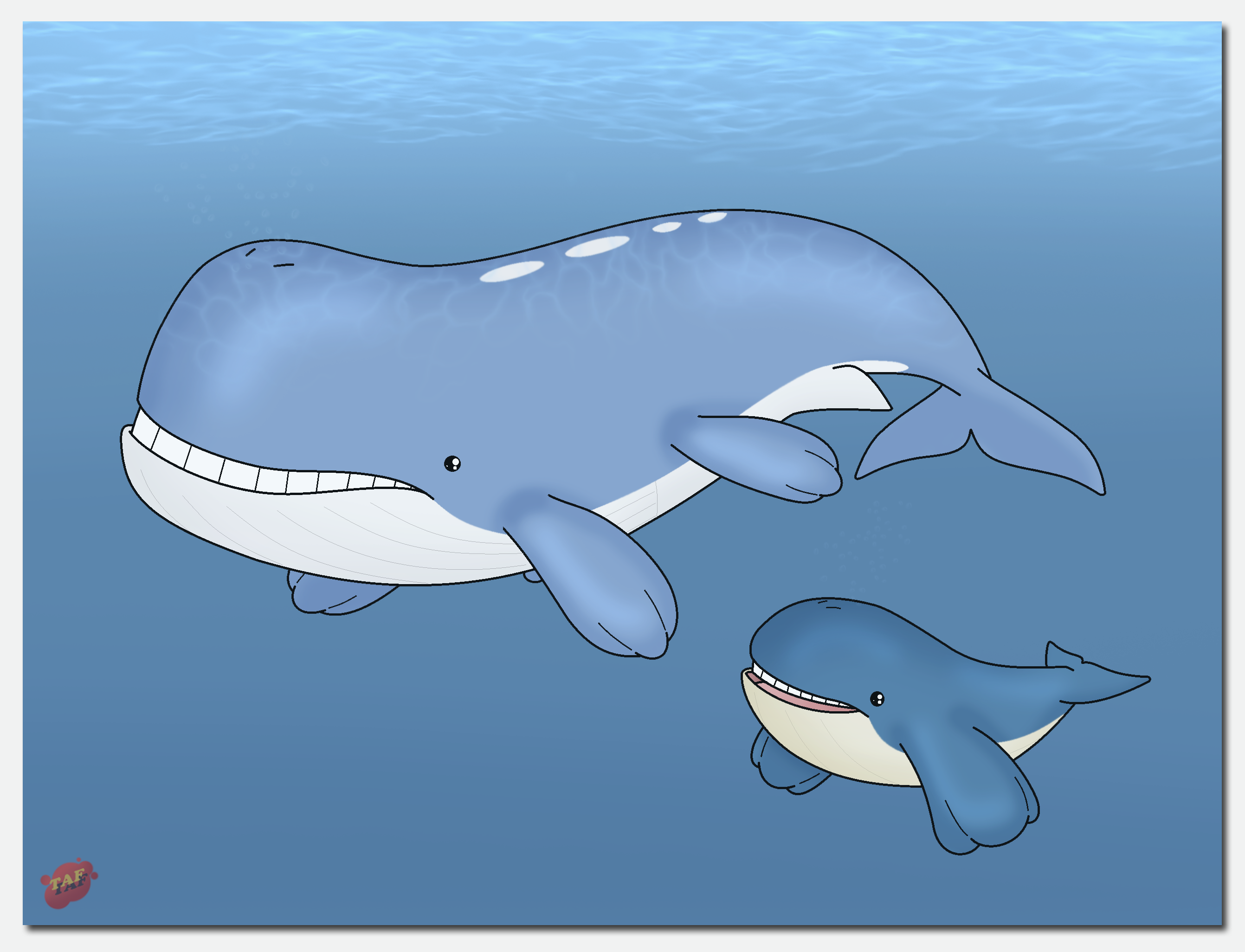 Pokémon Whale Wallpapers - Wallpaper Cave