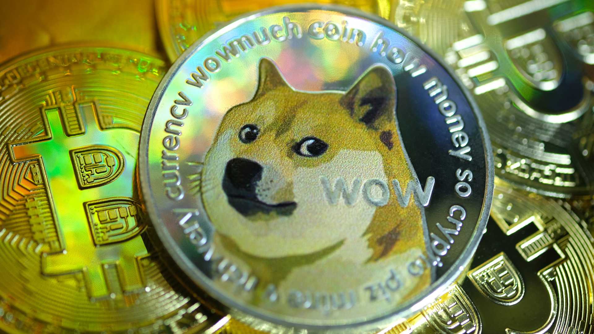 Dogecoin Wallpapers Wallpaper Cave