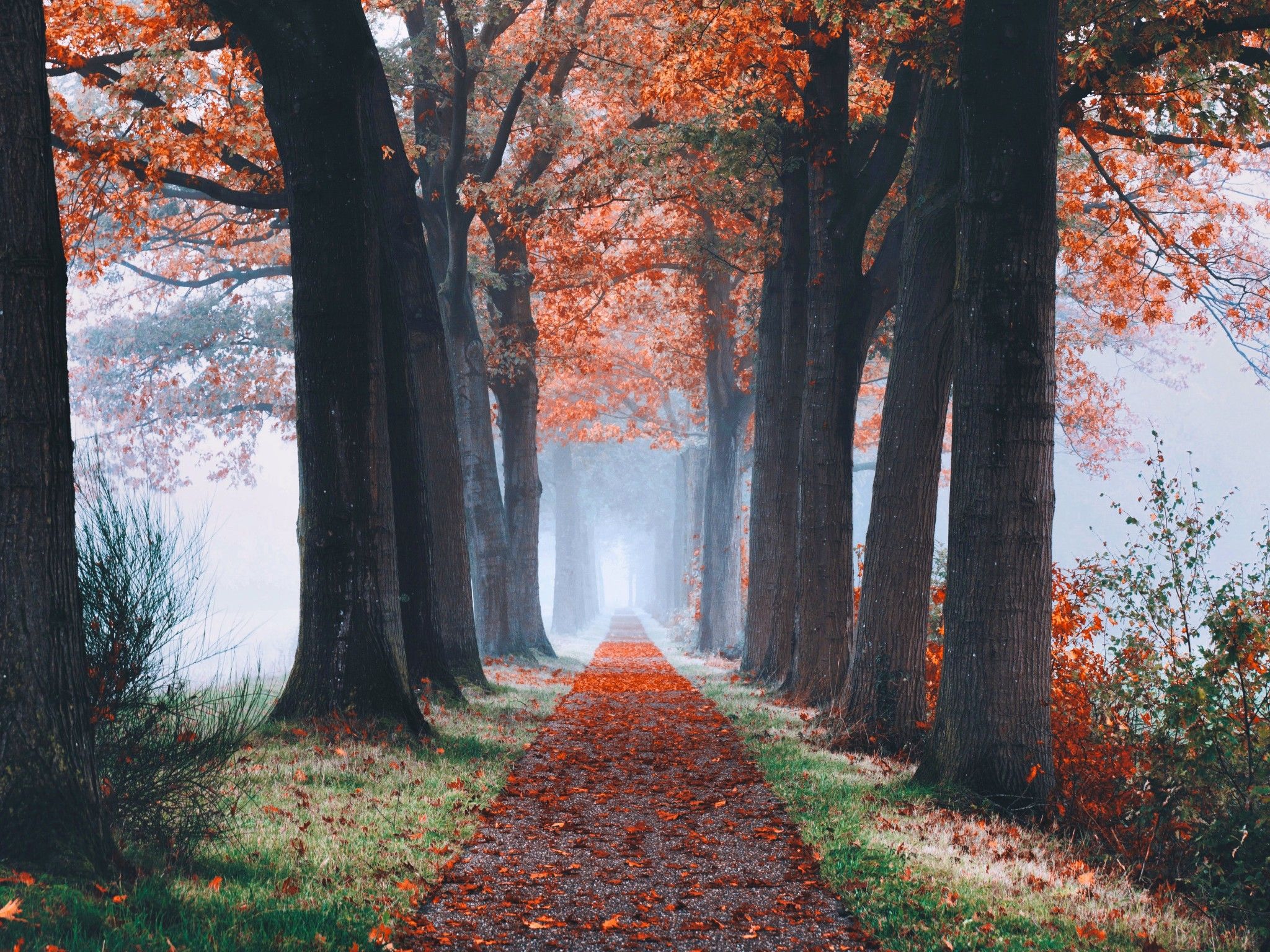 Morning Autumn Wallpapers - Wallpaper Cave