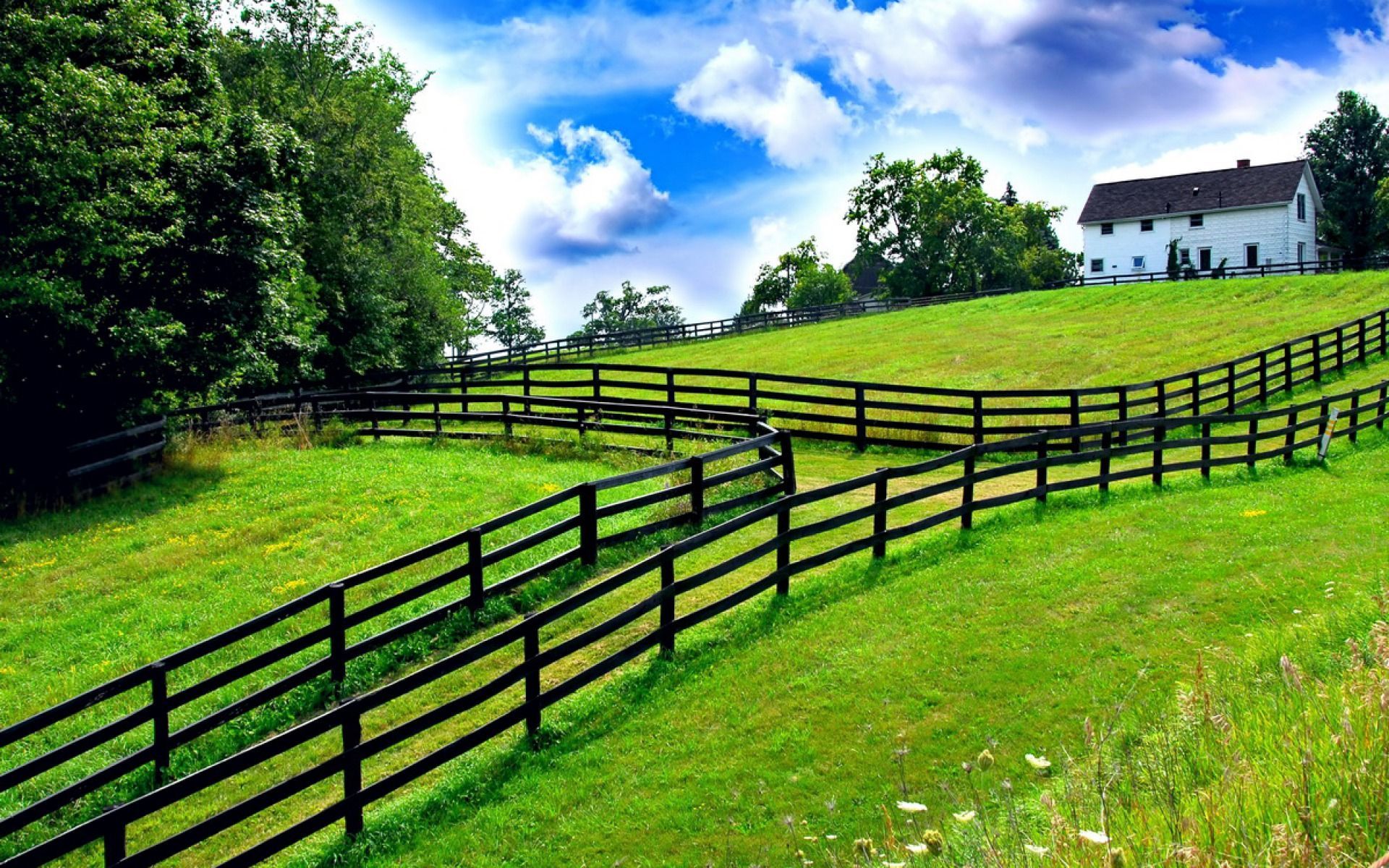 Summer Fence Wallpapers - Wallpaper Cave