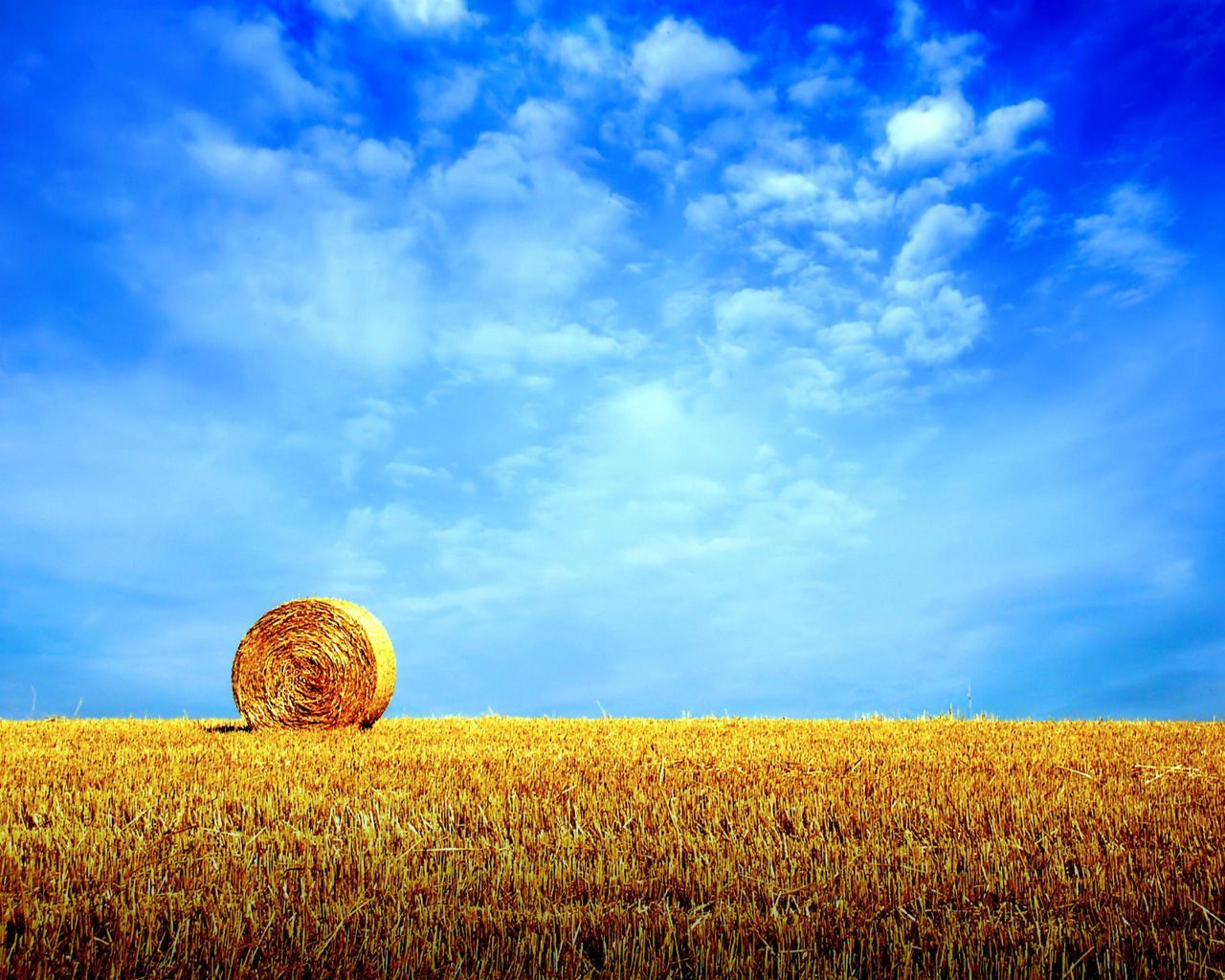 Summer Agriculture Wallpapers - Wallpaper Cave