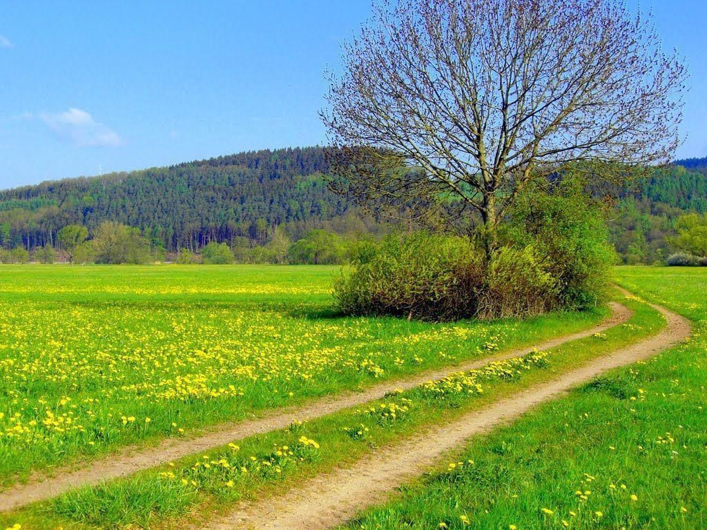 Spring Medows Wallpapers - Wallpaper Cave