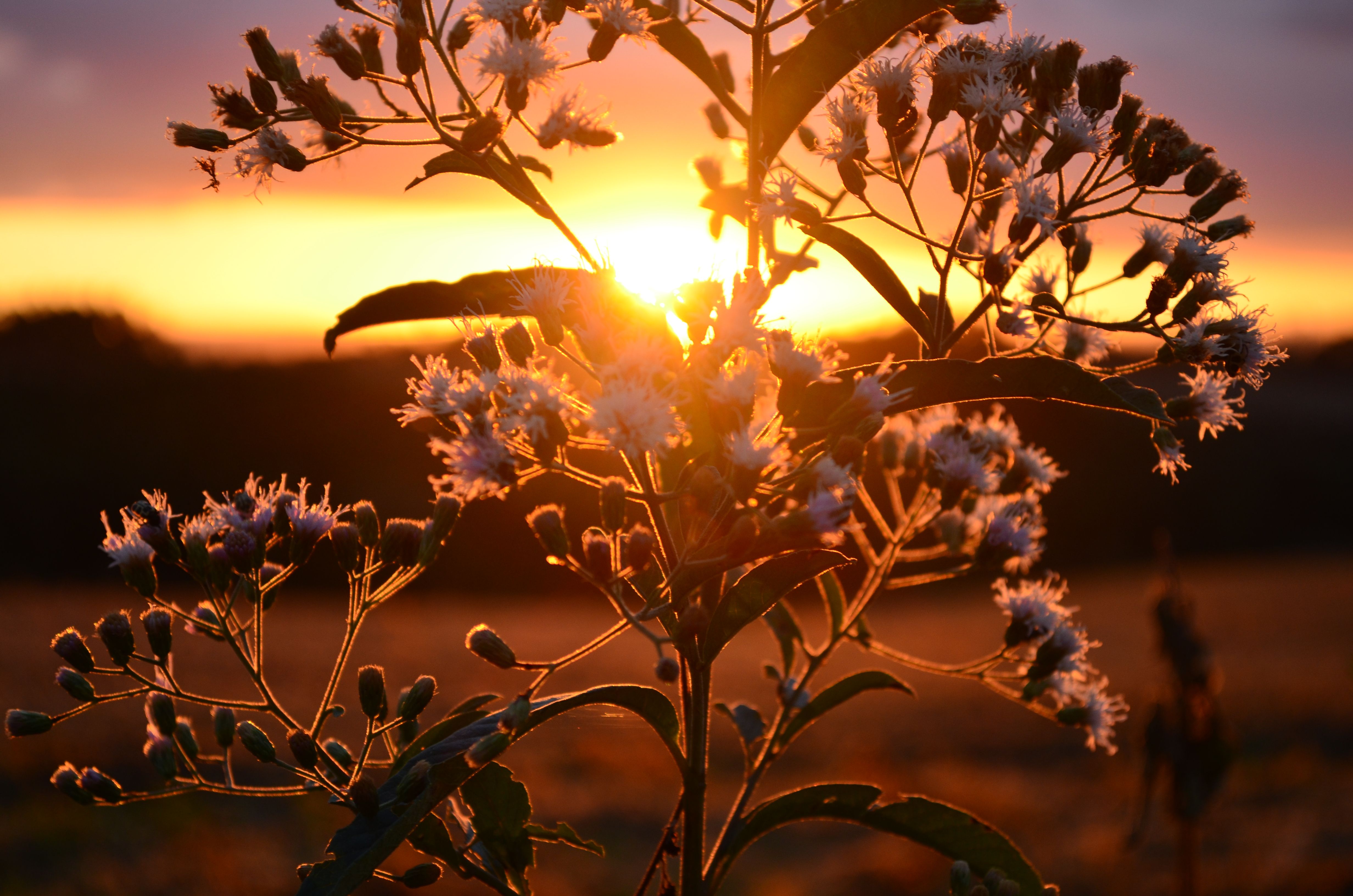 Spring Sunshine Sunsets Wallpapers - Wallpaper Cave