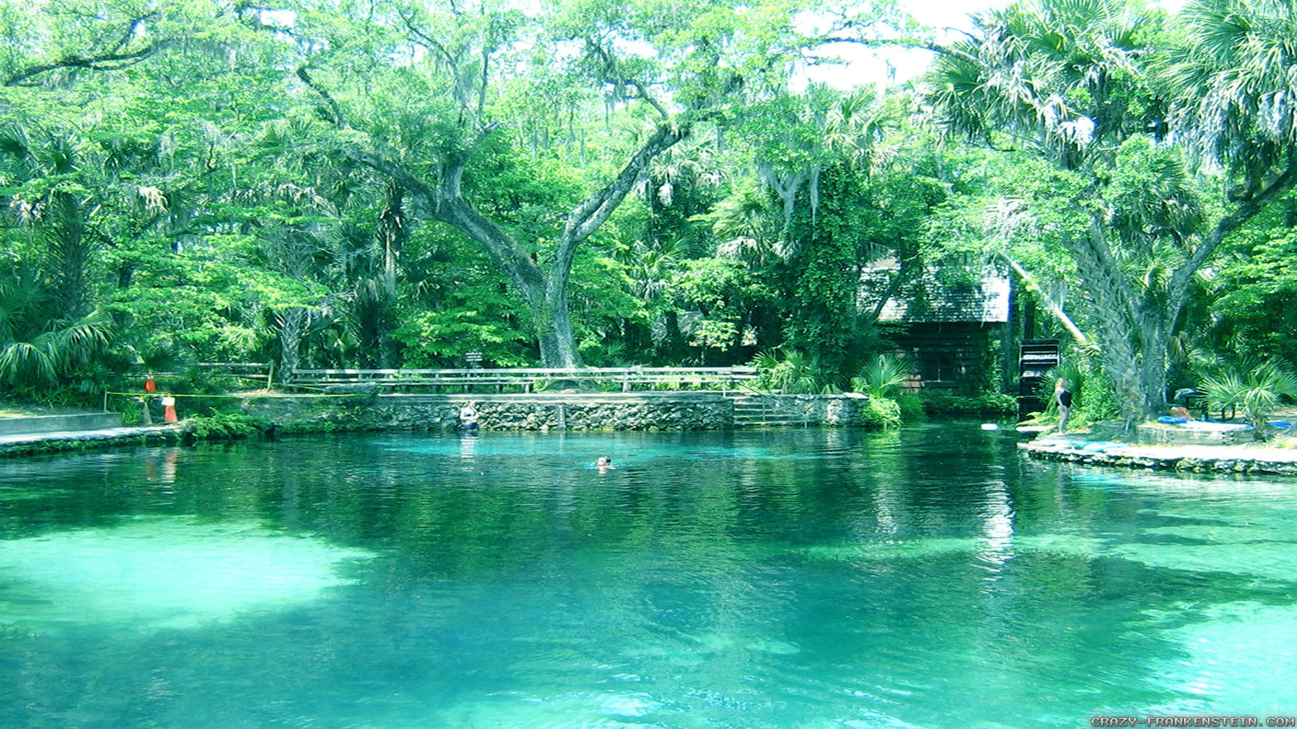 Spring With Water Wallpapers - Wallpaper Cave