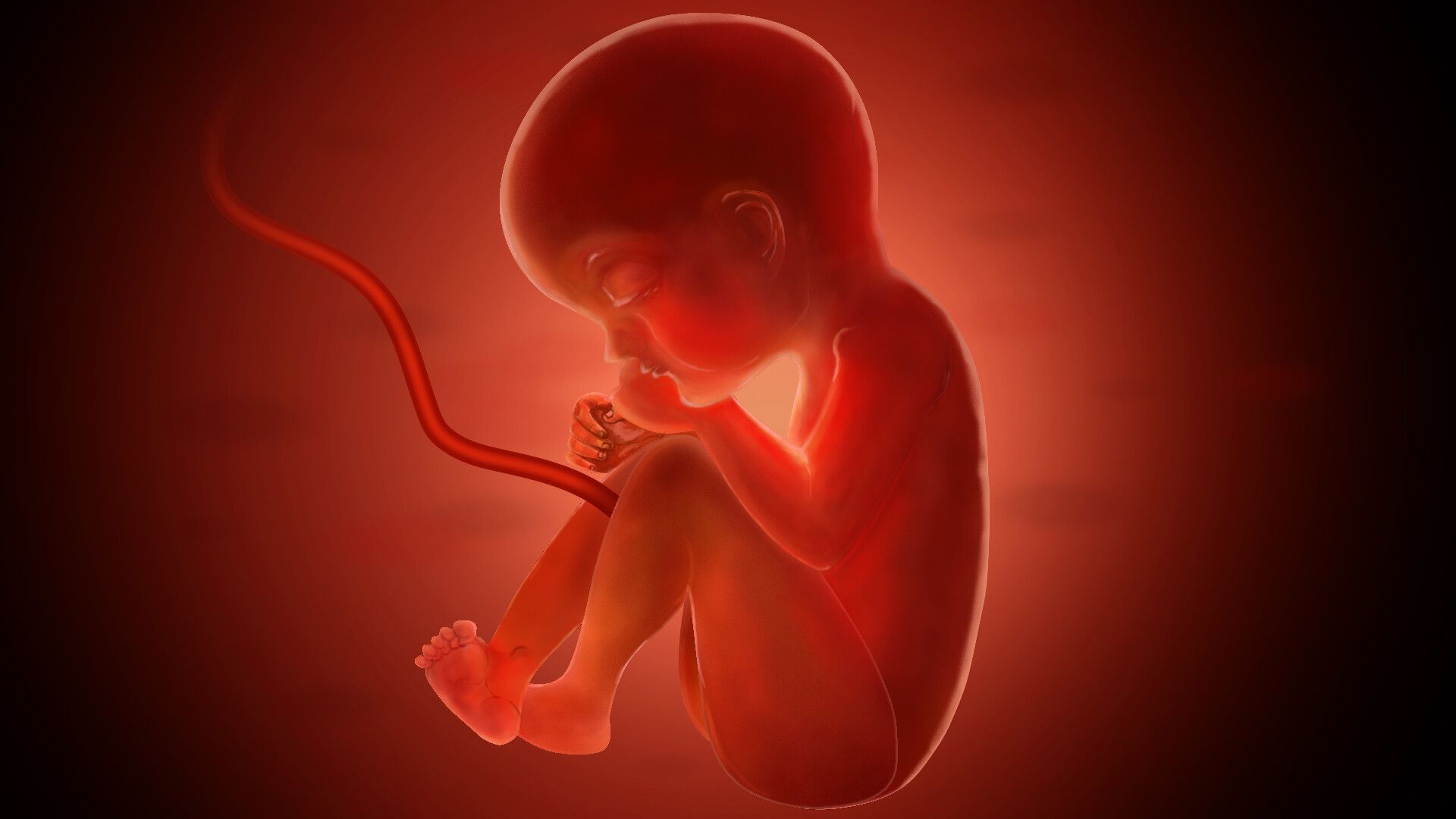 Womb Mother Wallpapers - Wallpaper Cave