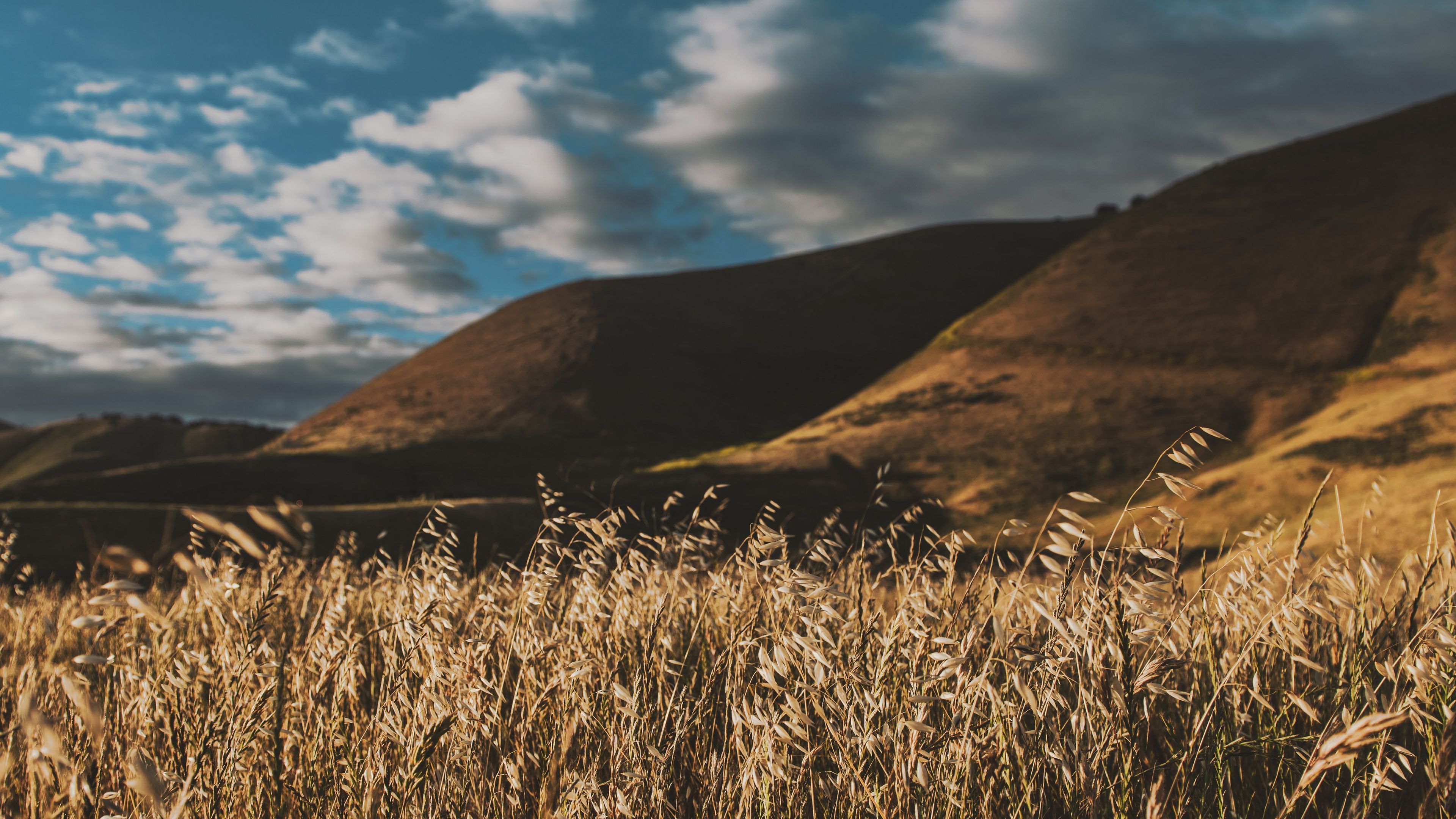 Brown Sky 4k Wallpapers - Wallpaper Cave