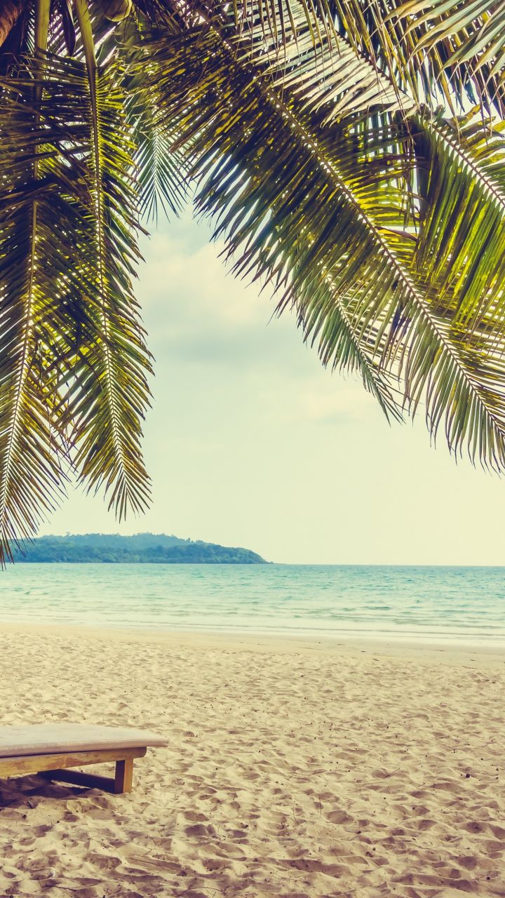 Palm Tree Summer Beach Wallpapers - Wallpaper Cave