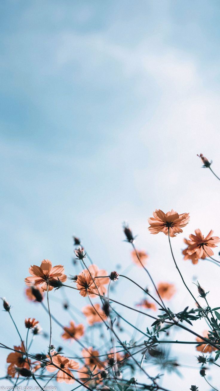 Spring Pastel Wallpapers - Wallpaper Cave