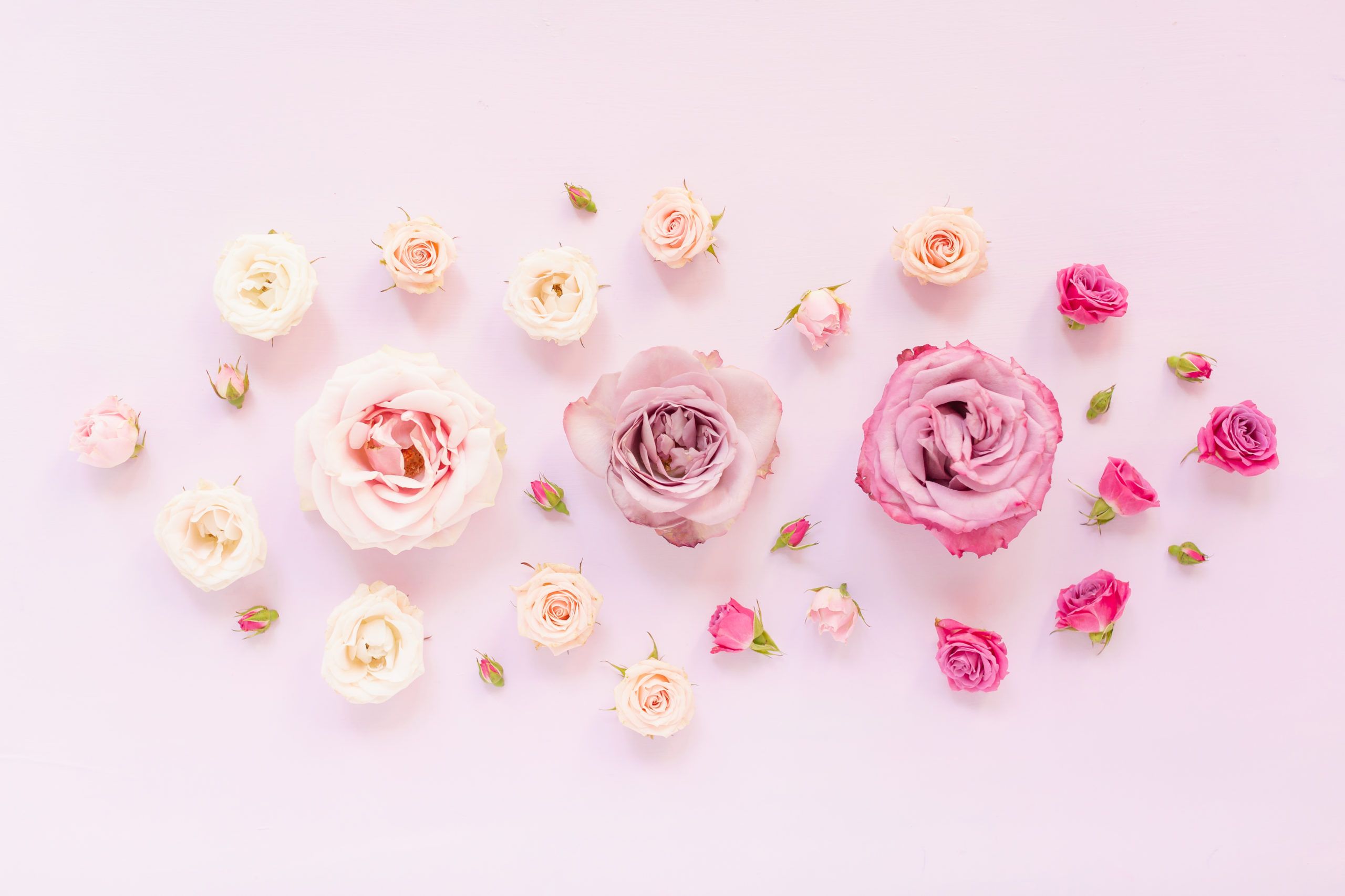 Spring Pastel Flowers Desktop Wallpapers - Wallpaper Cave