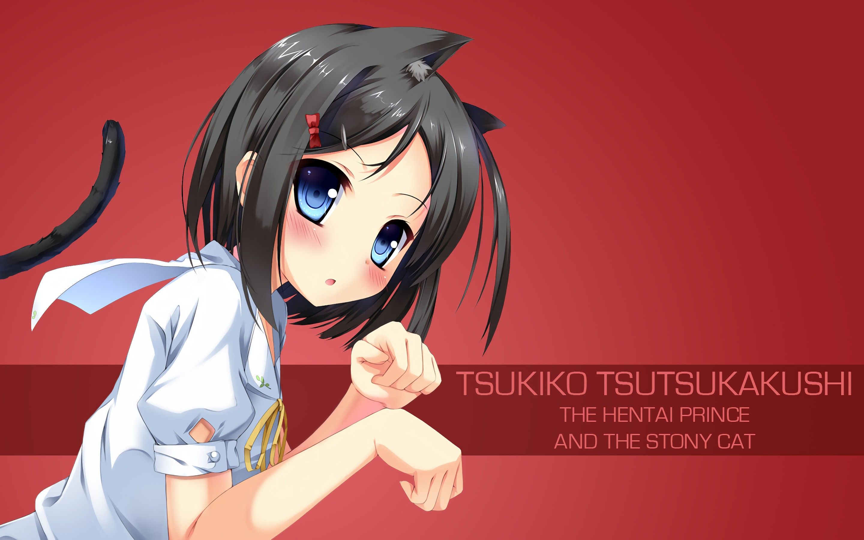 Tsukiko Wallpapers - Wallpaper Cave