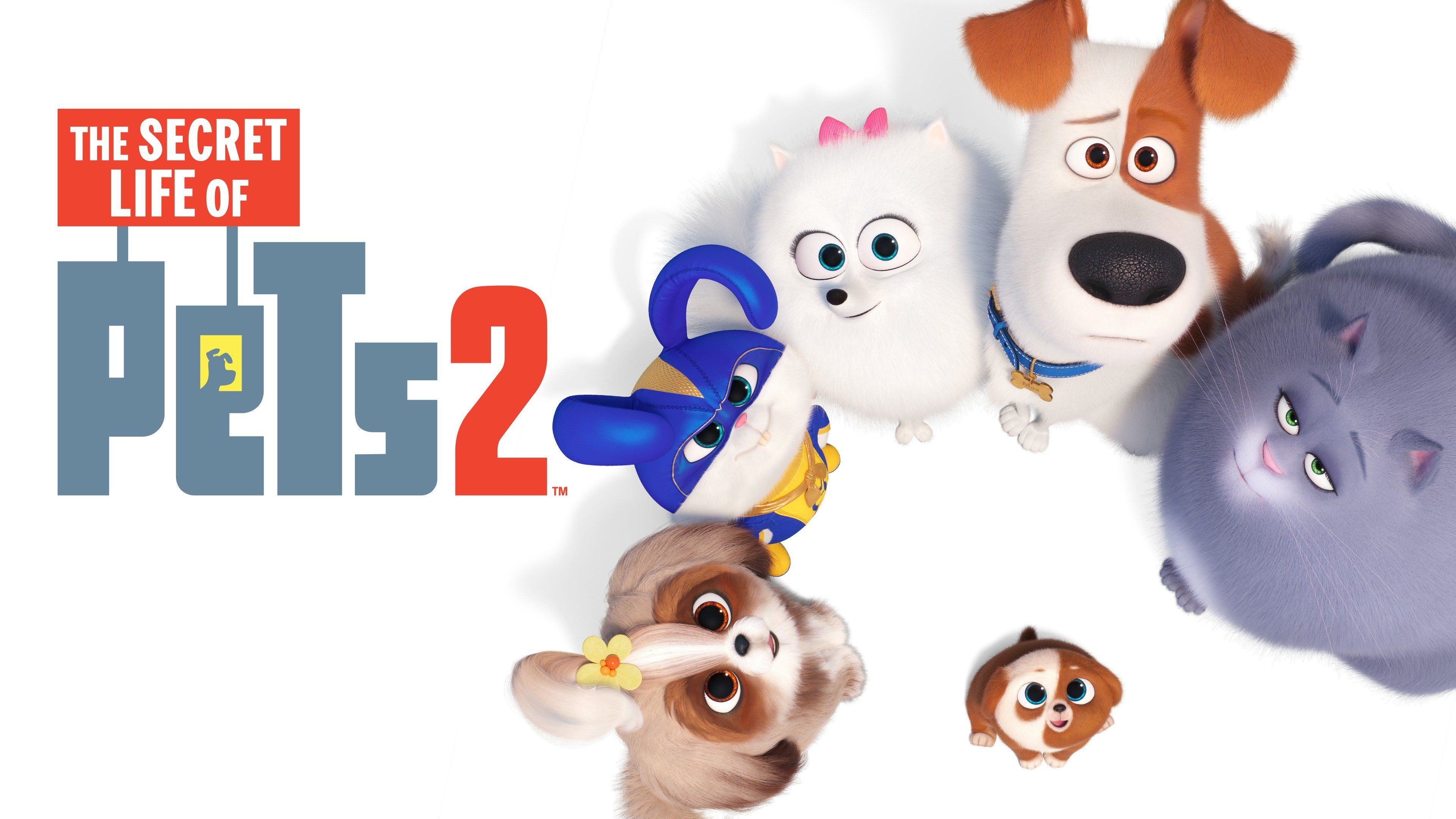 The Secret Life Of Pets Max Wallpapers - Wallpaper Cave