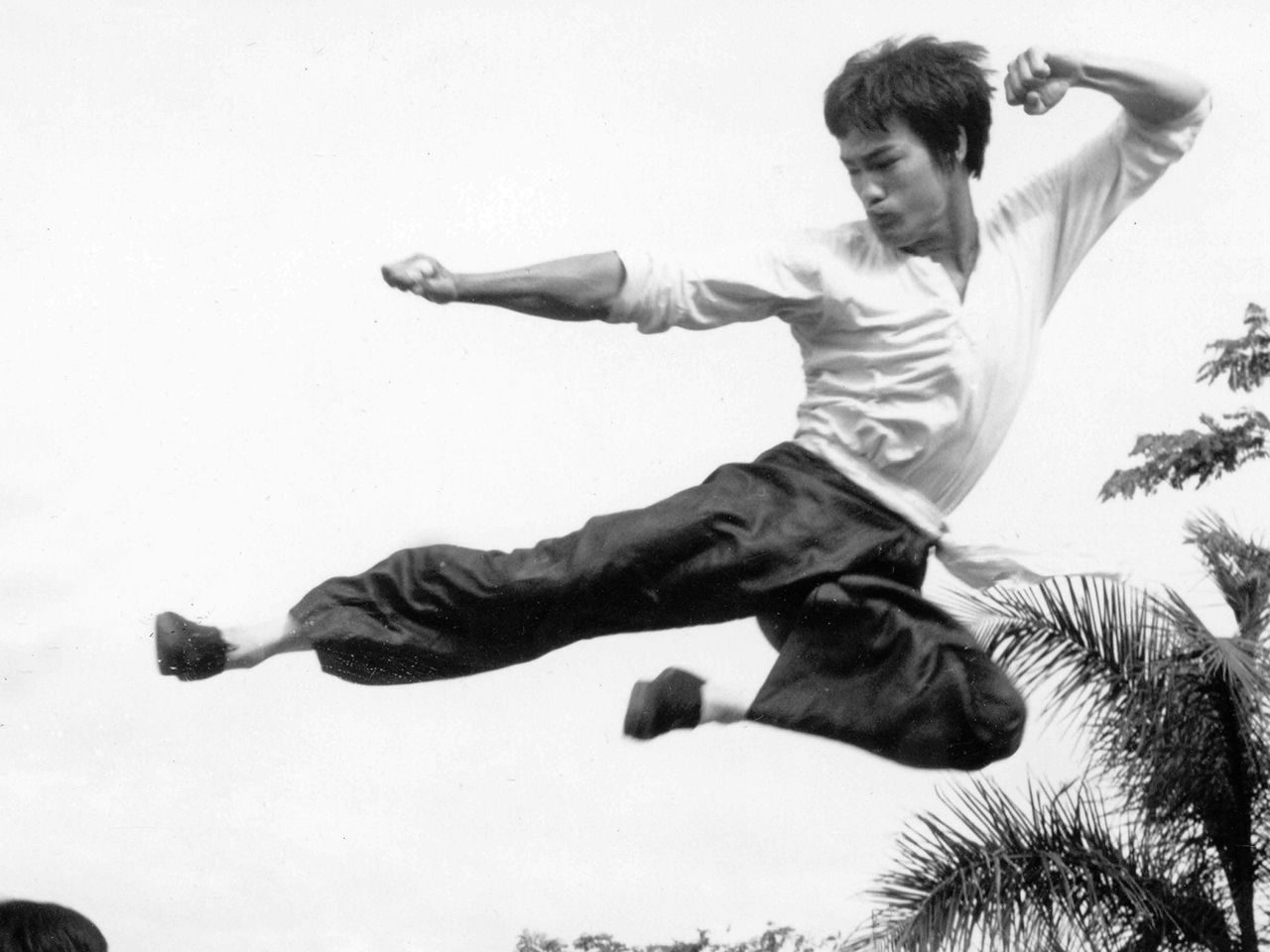 Bruce Lee Sidekick Wallpapers - Wallpaper Cave