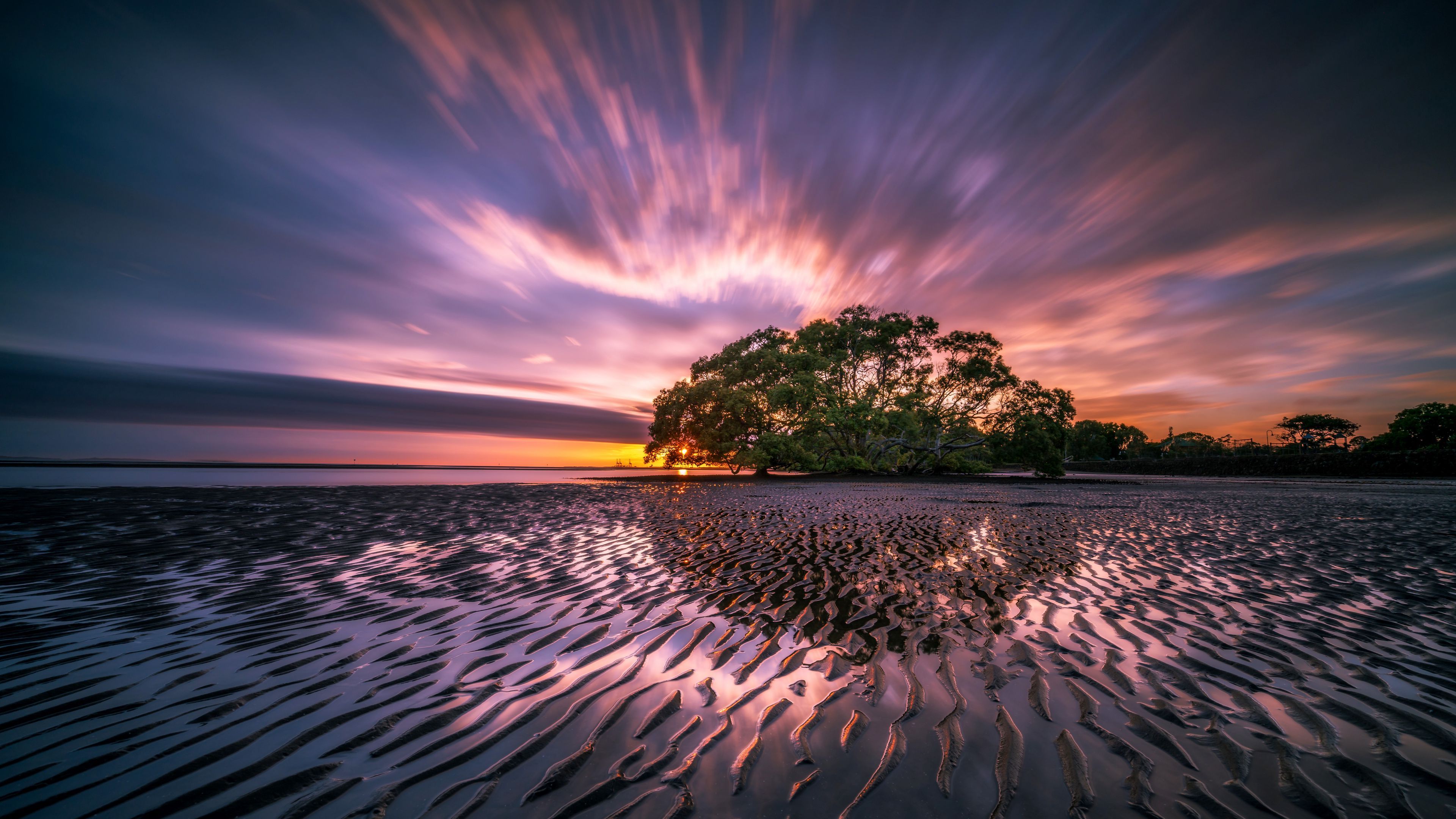 4K Sunrise Tree Wallpapers - Wallpaper Cave