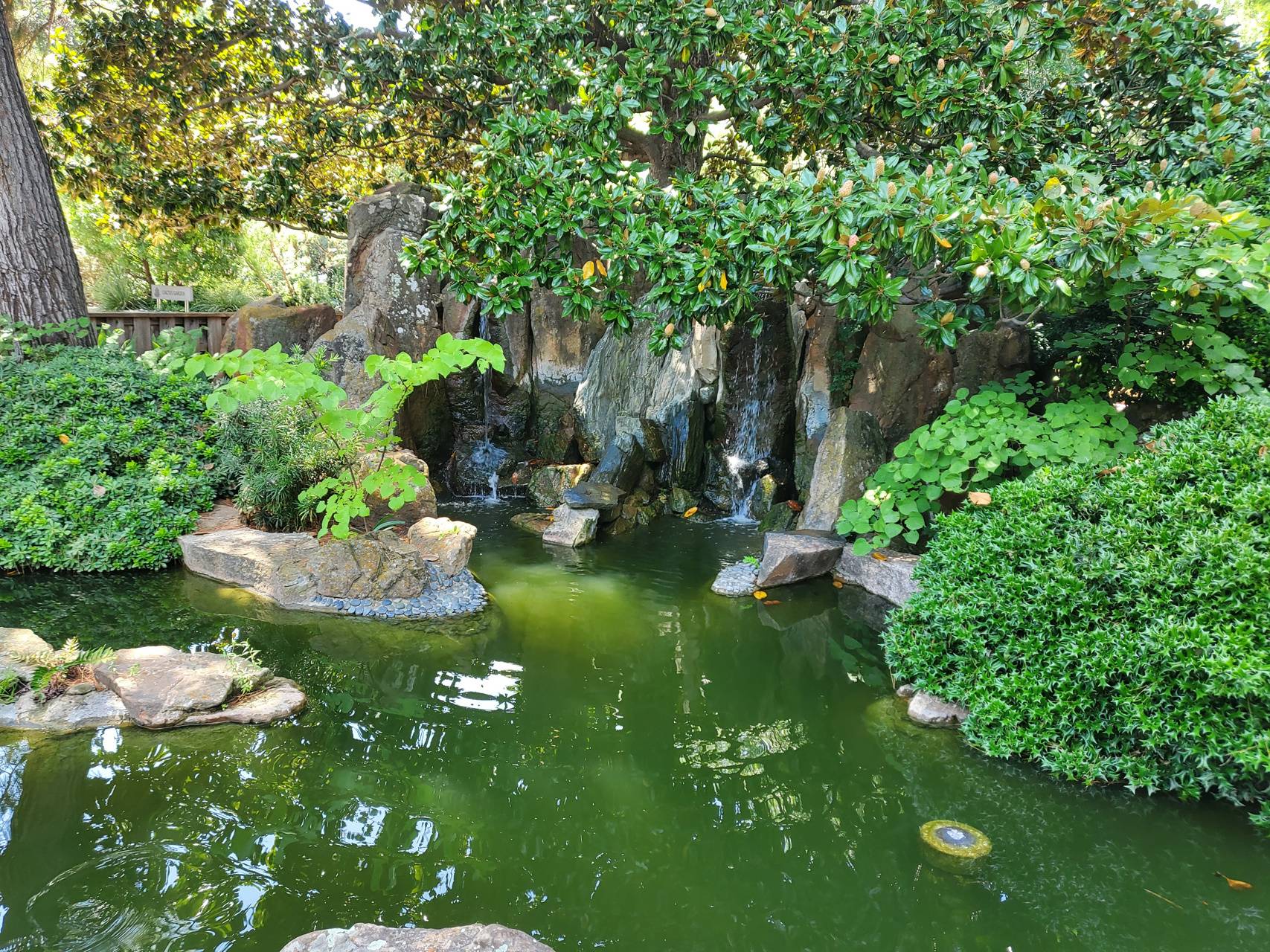 Peaceful Pond Wallpapers - Wallpaper Cave