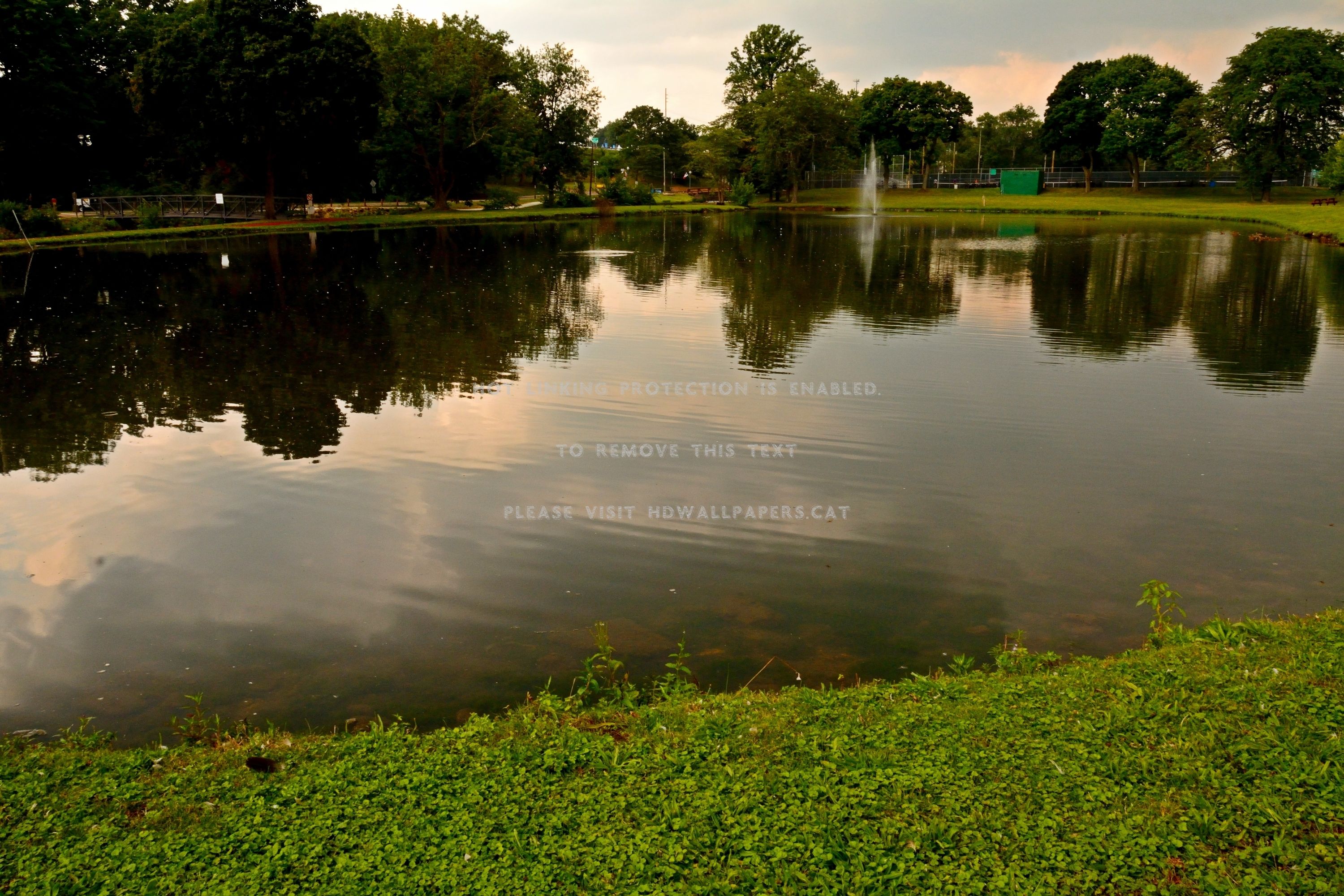 Peaceful Pond Wallpapers - Wallpaper Cave