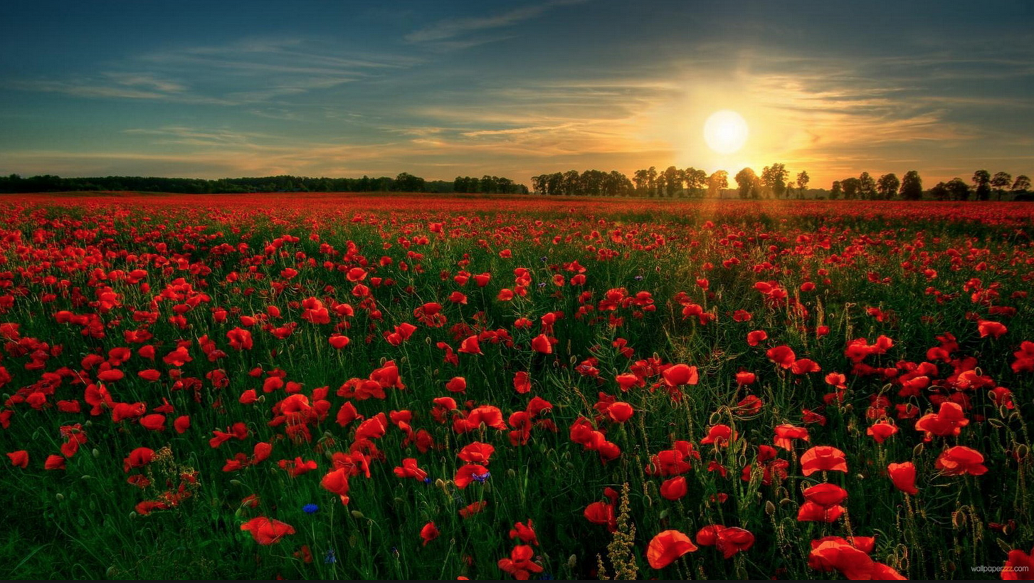 Anzac Wallpapers - Wallpaper Cave