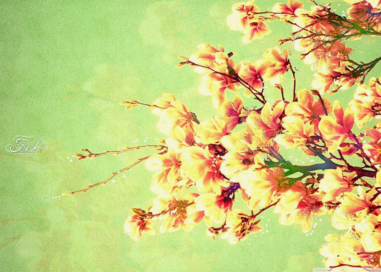 Spring HD Computer Wallpapers - Wallpaper Cave