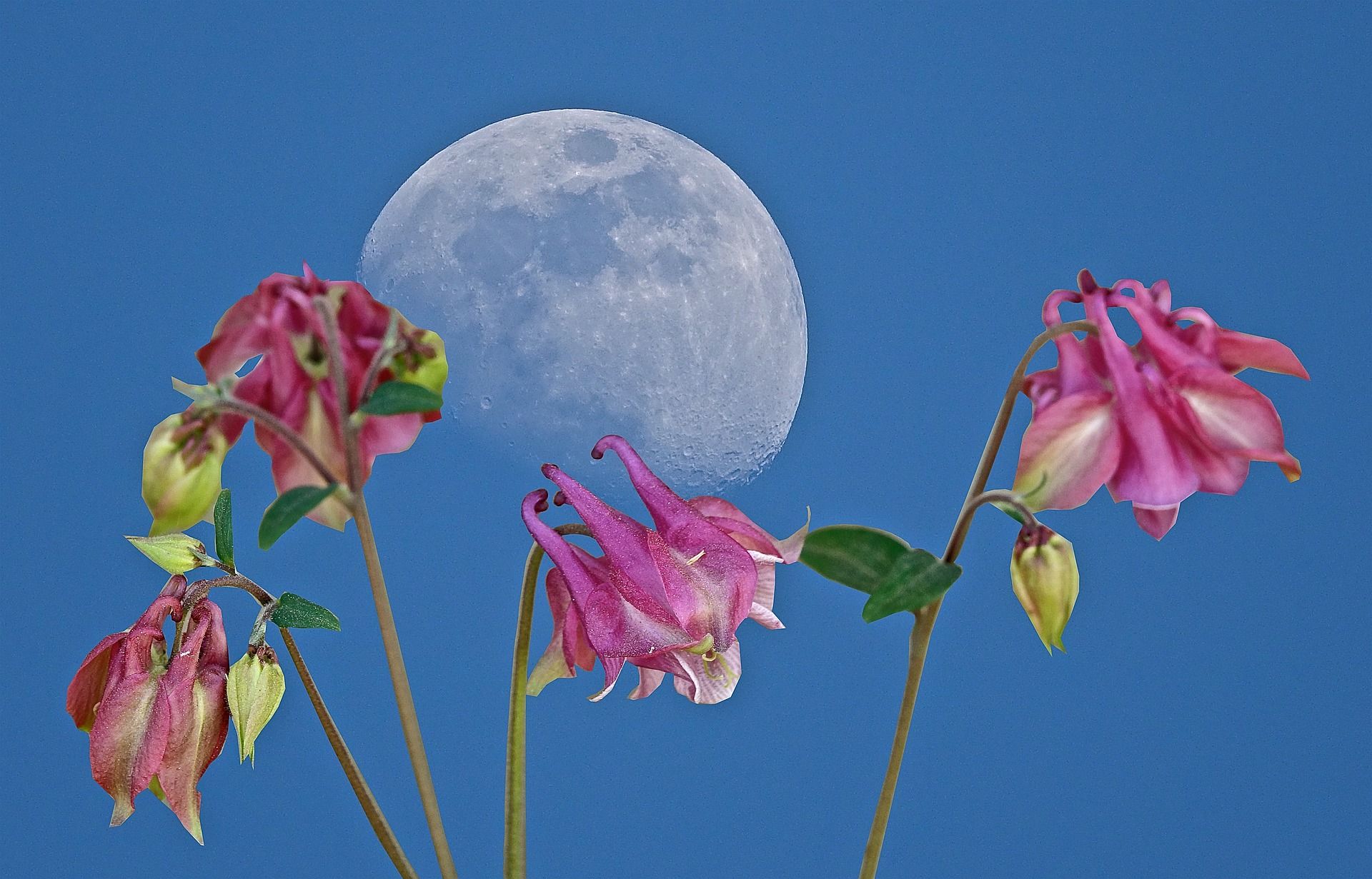 Spring Full Moon Wallpapers - Wallpaper Cave