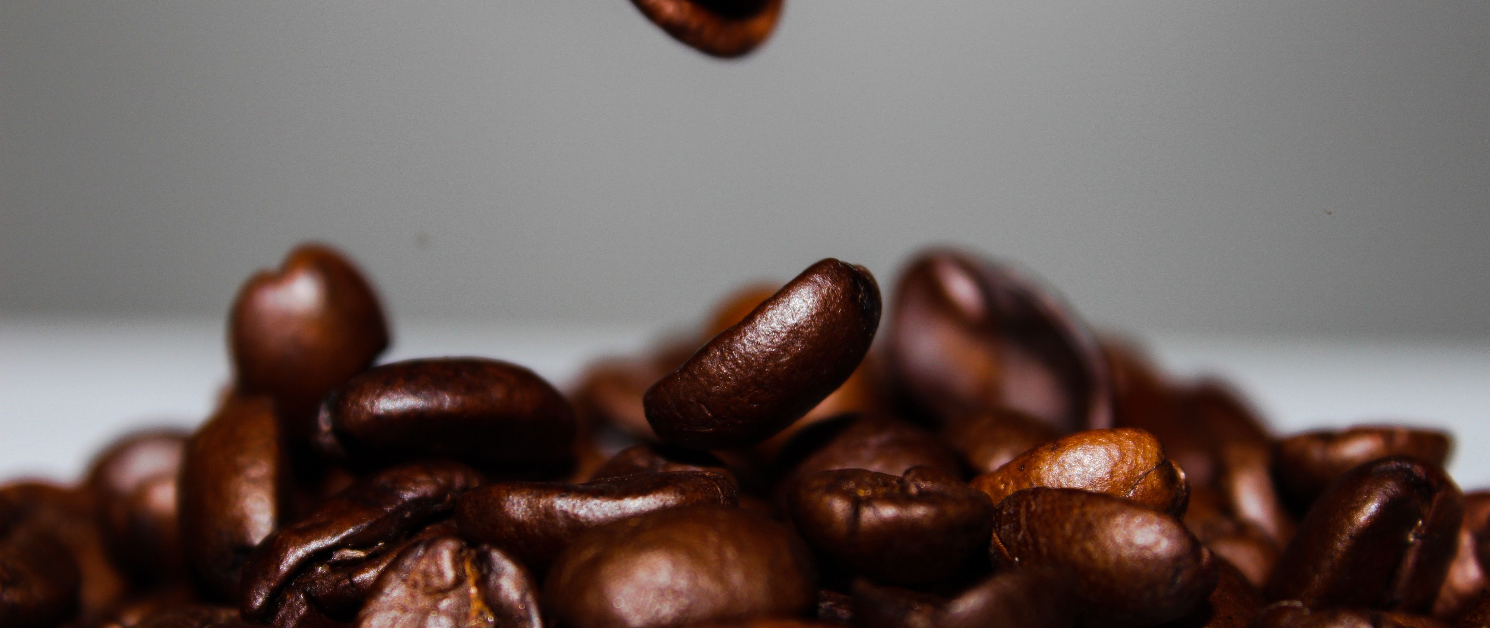 Beans 4k Wallpapers - Wallpaper Cave