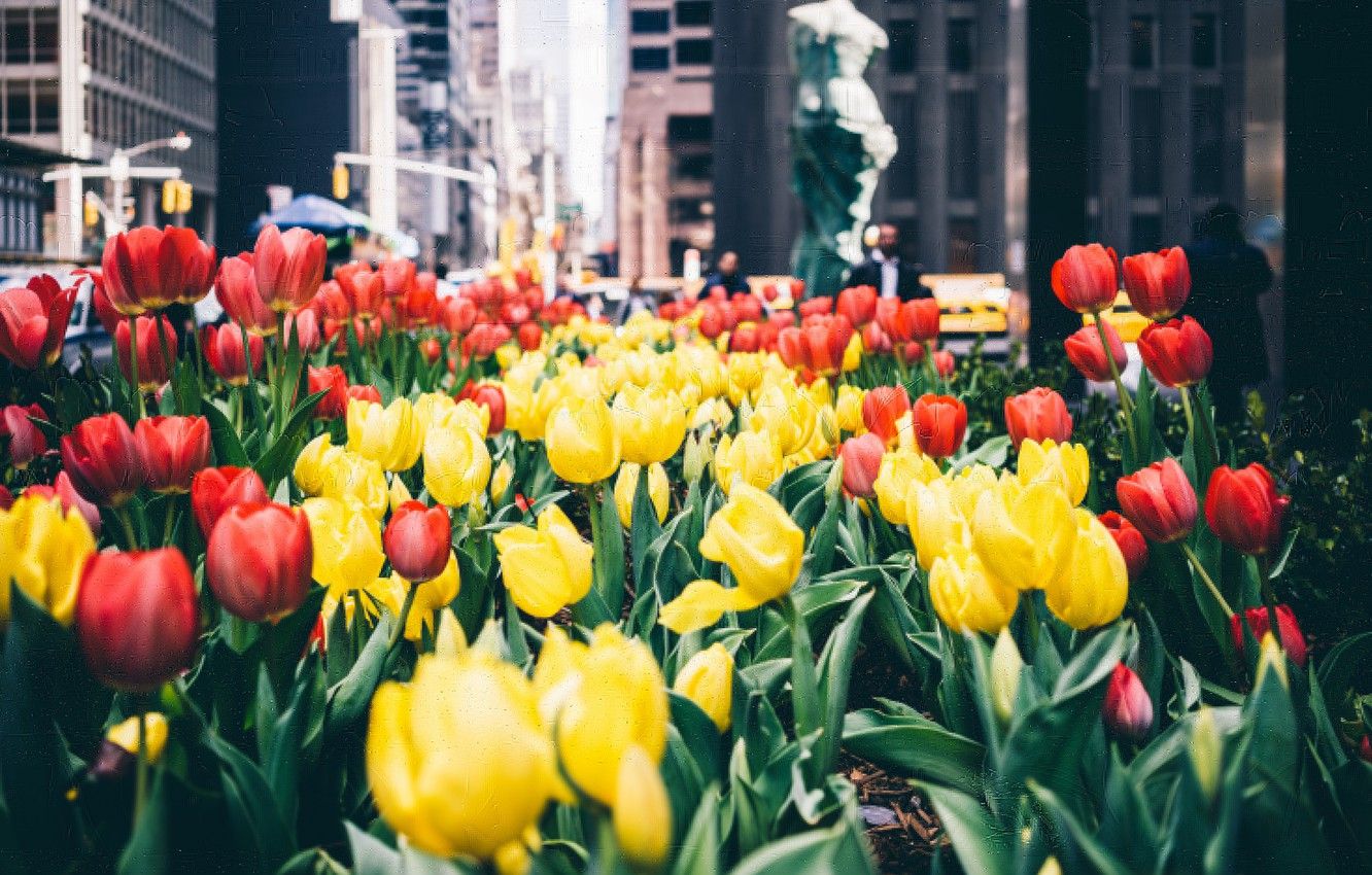 New York City Spring Wallpapers - Wallpaper Cave