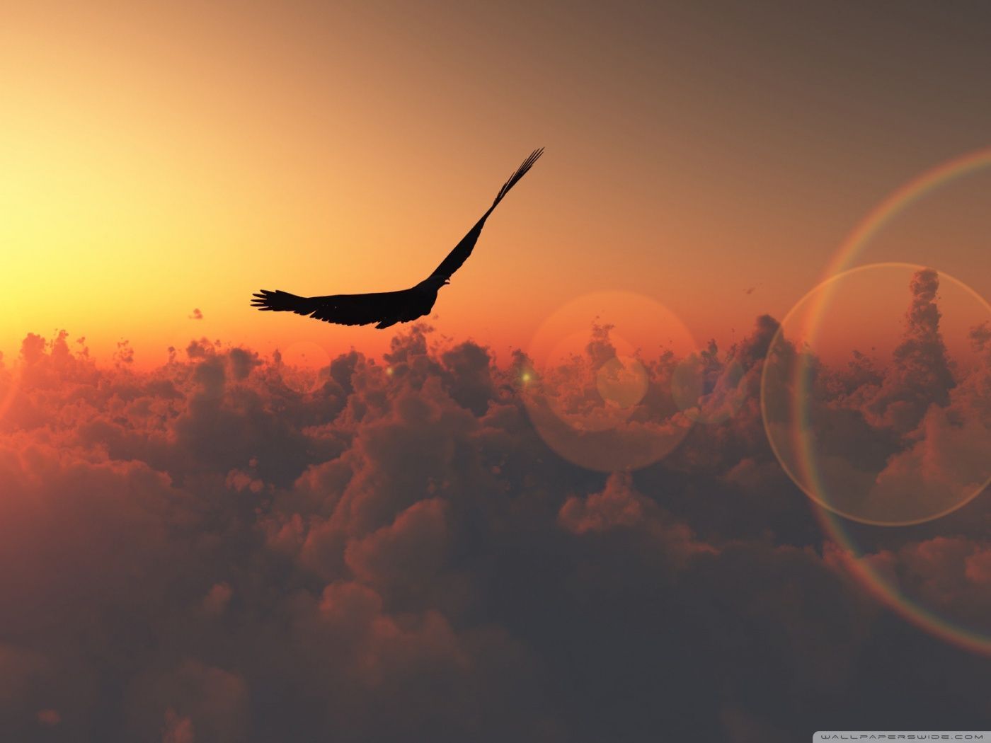 Summer Flying Wallpapers - Wallpaper Cave