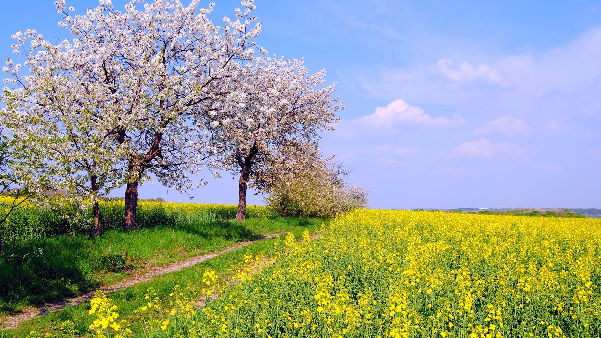 Germany Spring Wallpapers - Wallpaper Cave