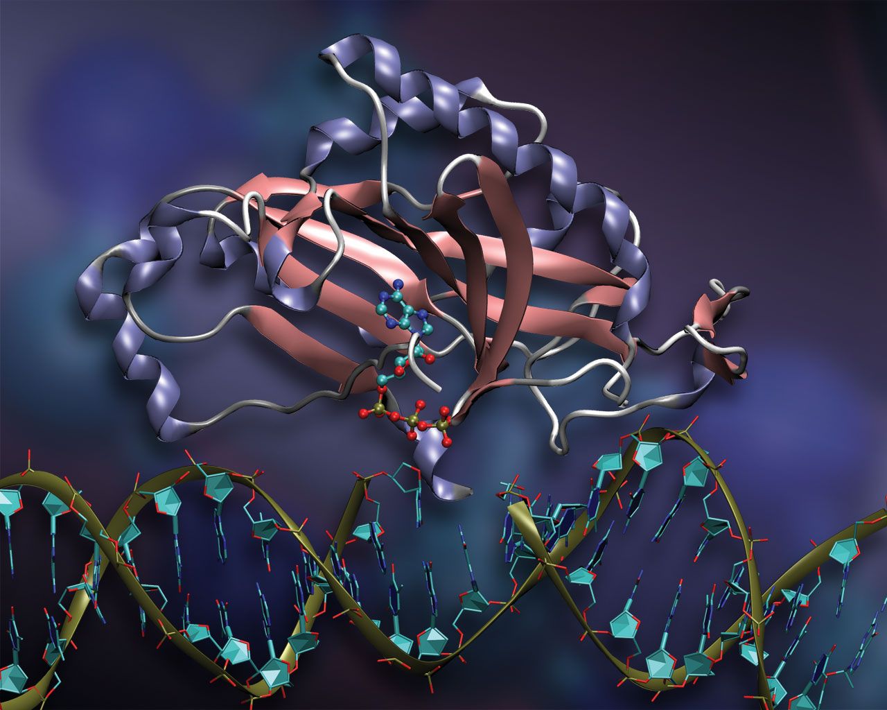 Bioinformatics Wallpapers - Wallpaper Cave