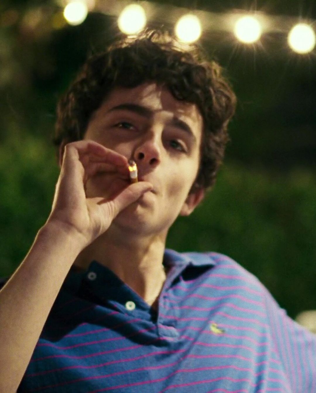 Elio Perlman Wallpapers - Wallpaper Cave