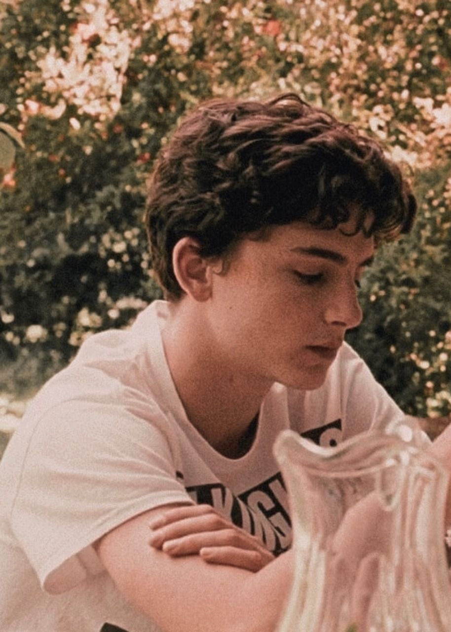 Elio Perlman Wallpapers - Wallpaper Cave