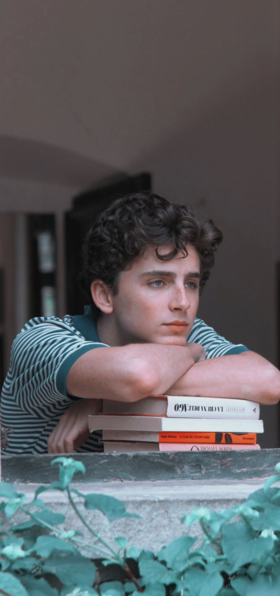 Elio Perlman Wallpapers - Wallpaper Cave