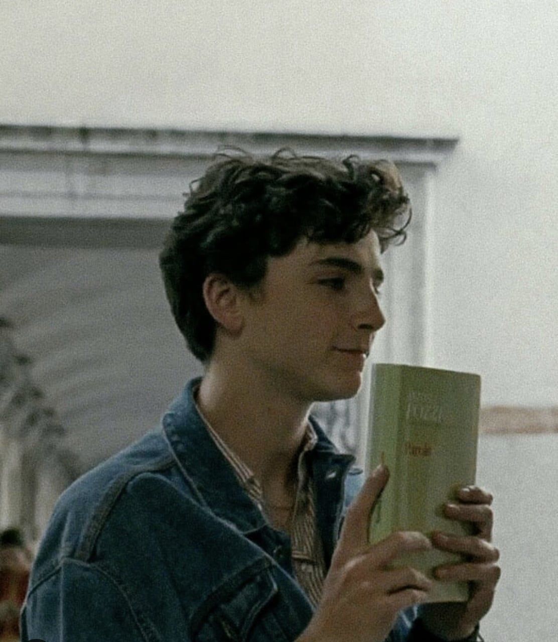 Elio Perlman Wallpapers - Wallpaper Cave