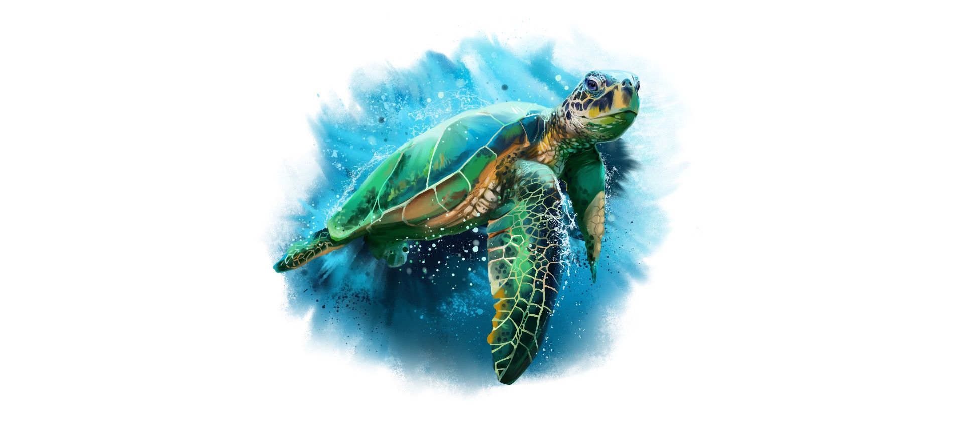 Loggerhead Sea Turtle Wallpapers - Wallpaper Cave