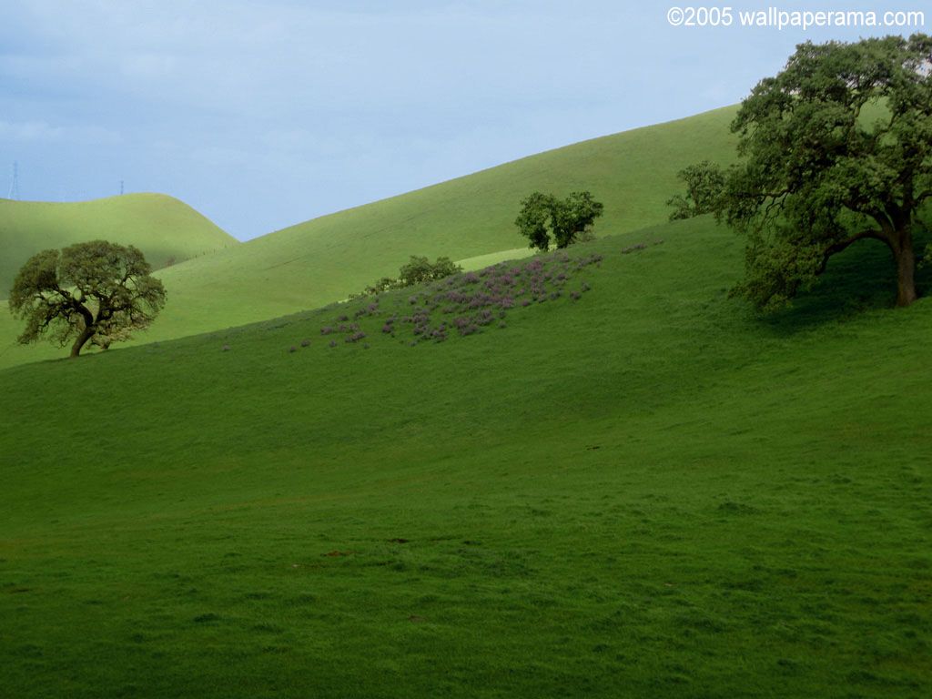 Rolling Hills Wallpapers - Wallpaper Cave