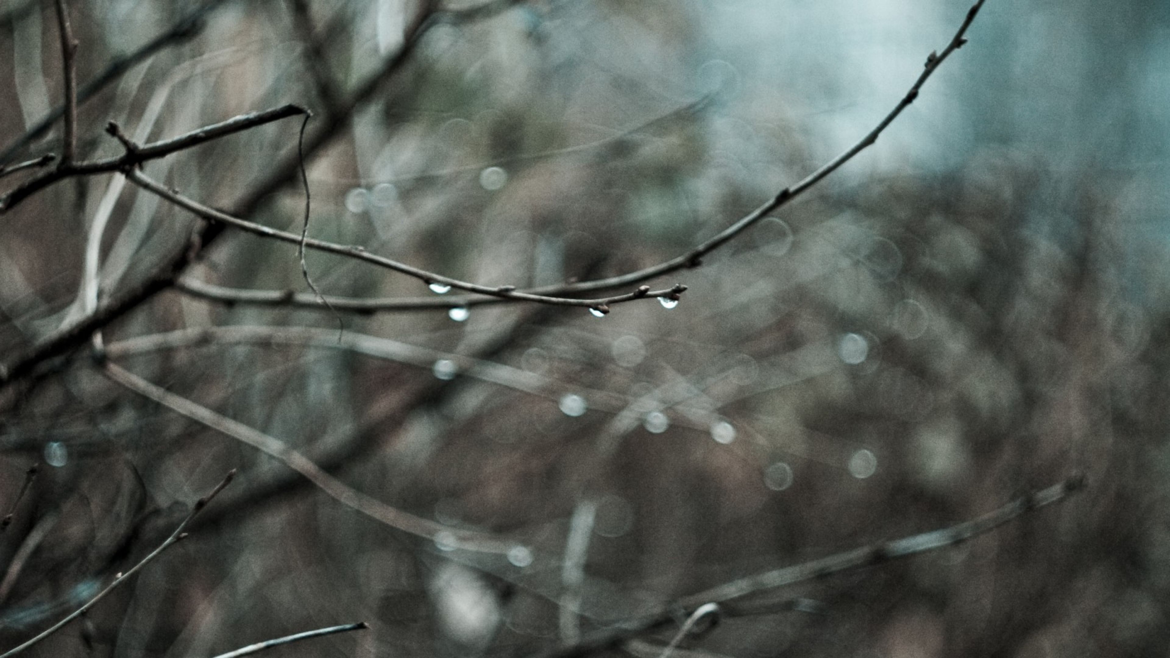 Rain 4k PC Wallpapers - Wallpaper Cave