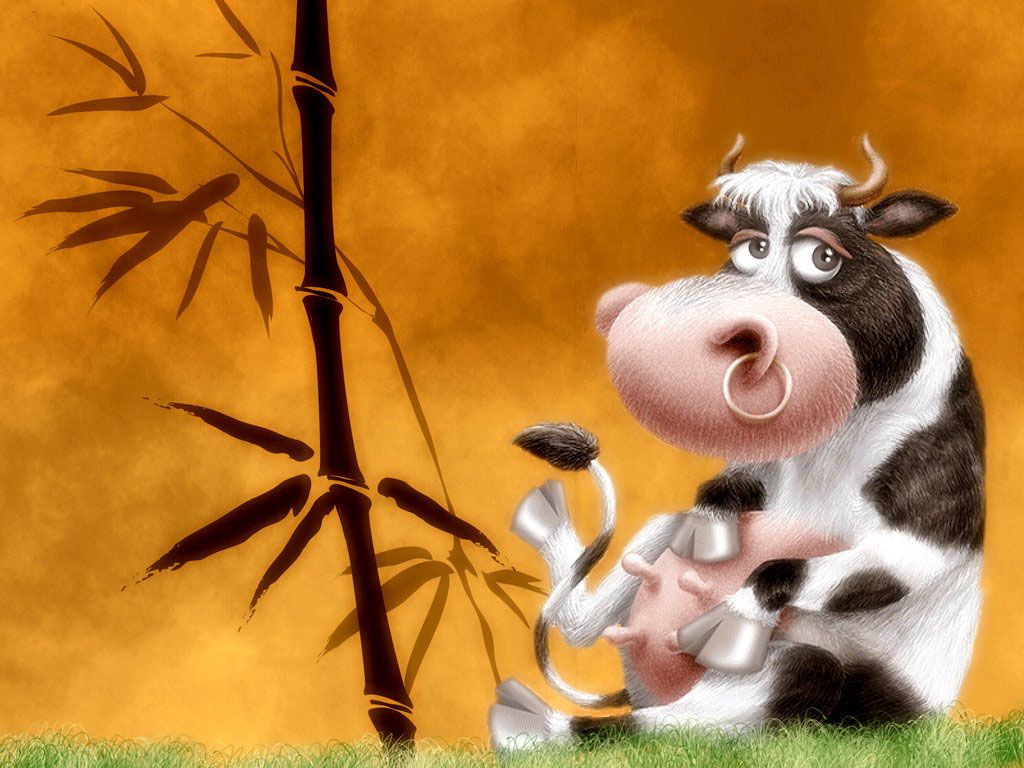 Cow Cartoon Wallpapers - Wallpaper Cave