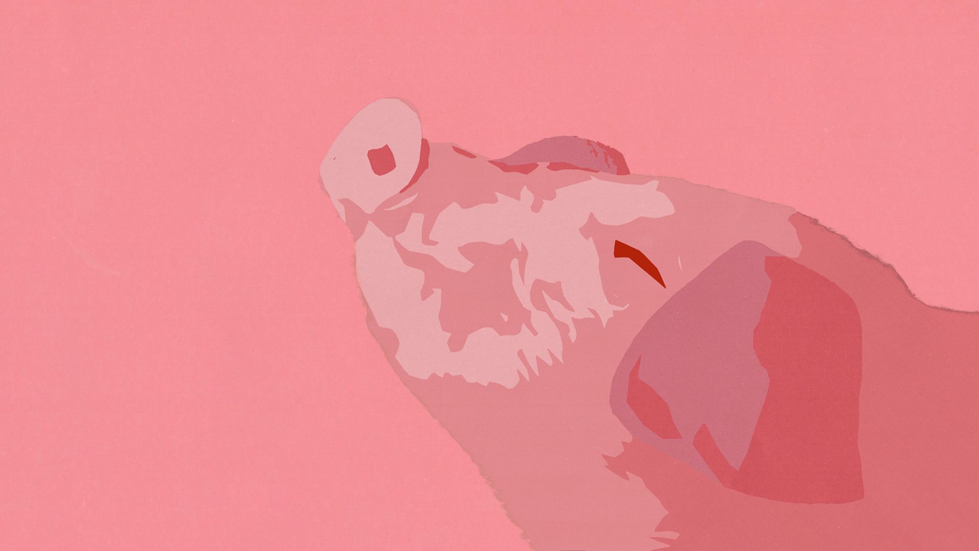 Pink Pig Wallpapers - Wallpaper Cave