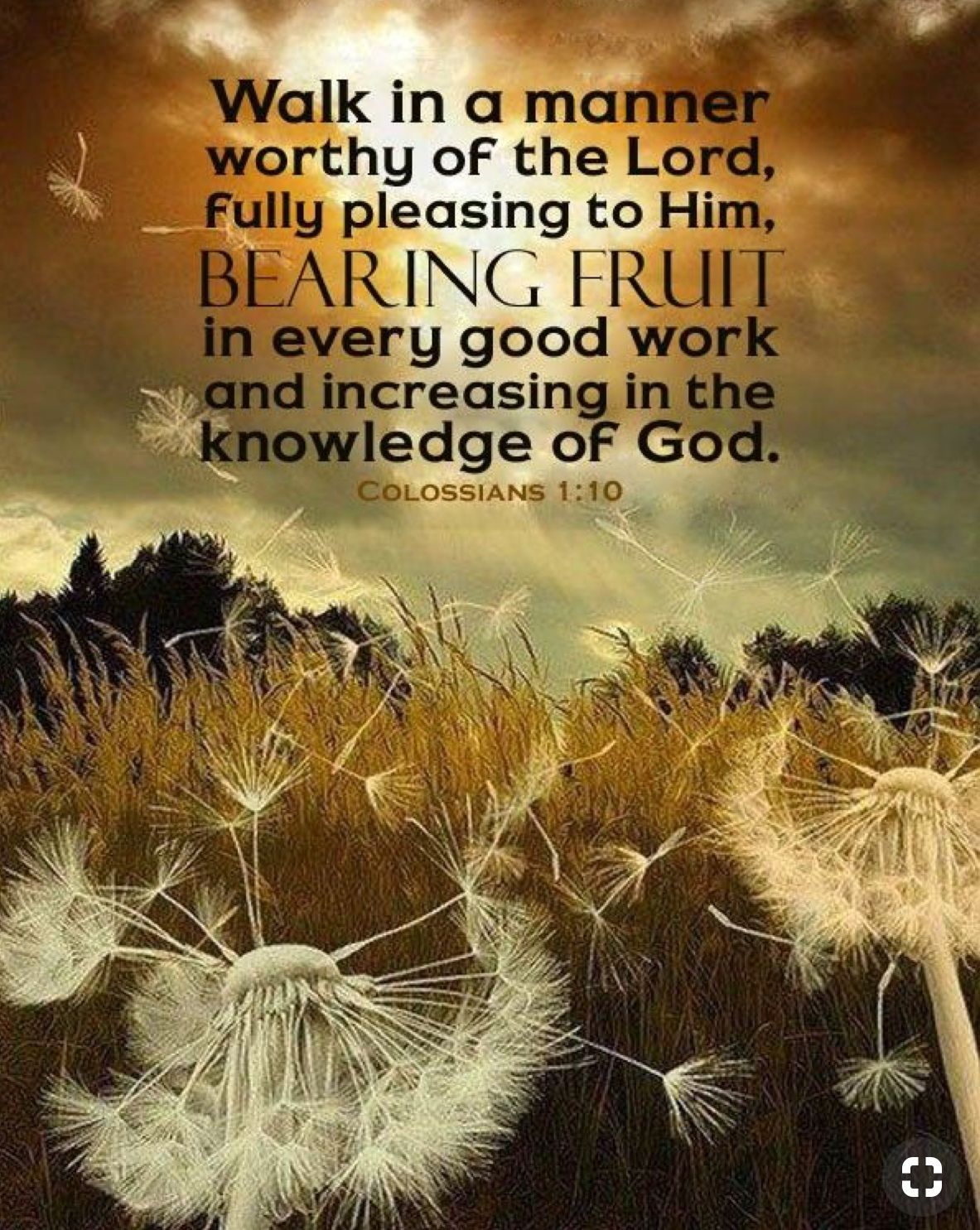 Colossians 1:10 Wallpapers - Wallpaper Cave