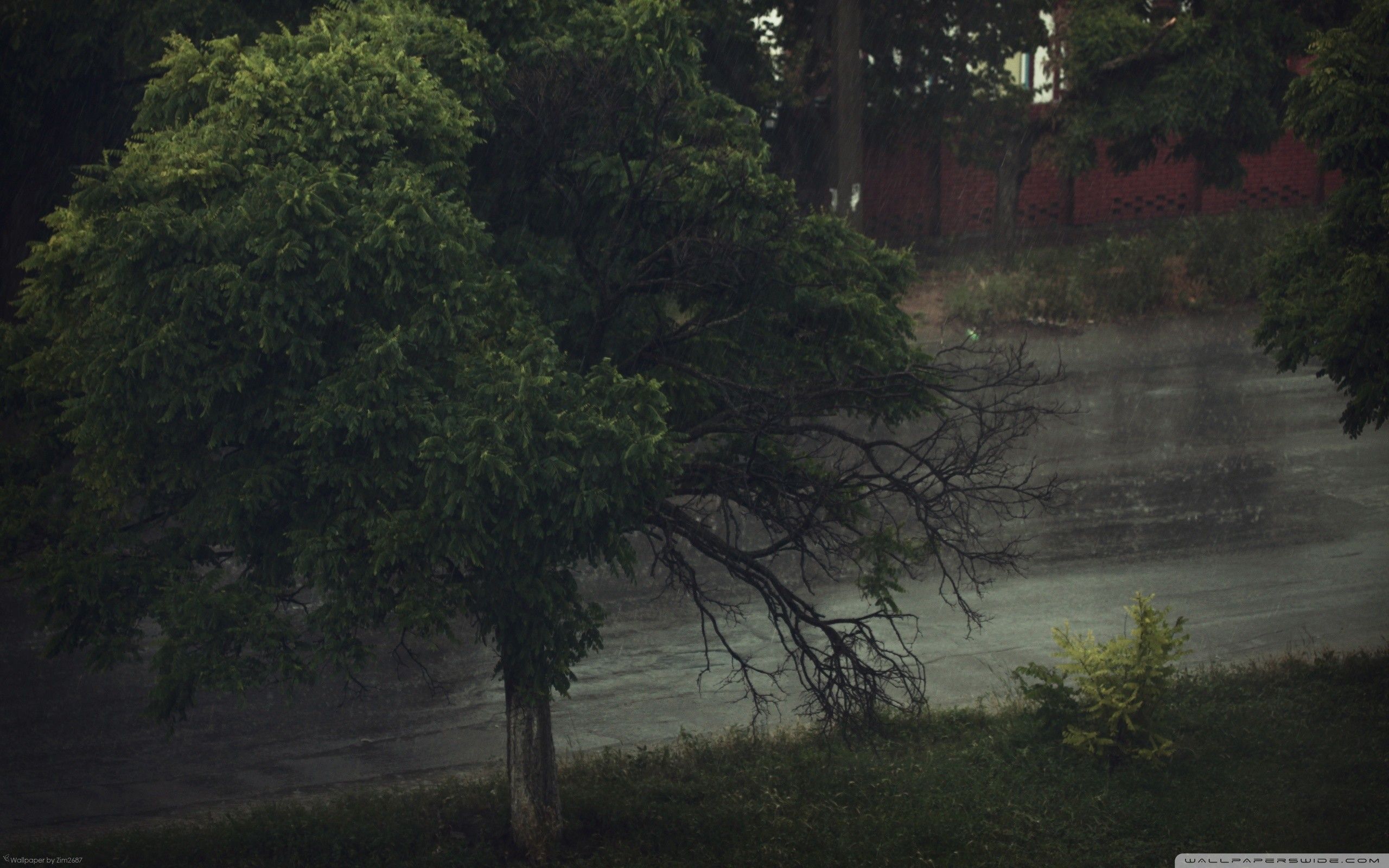 Rainy Day 4k Wallpapers - Wallpaper Cave