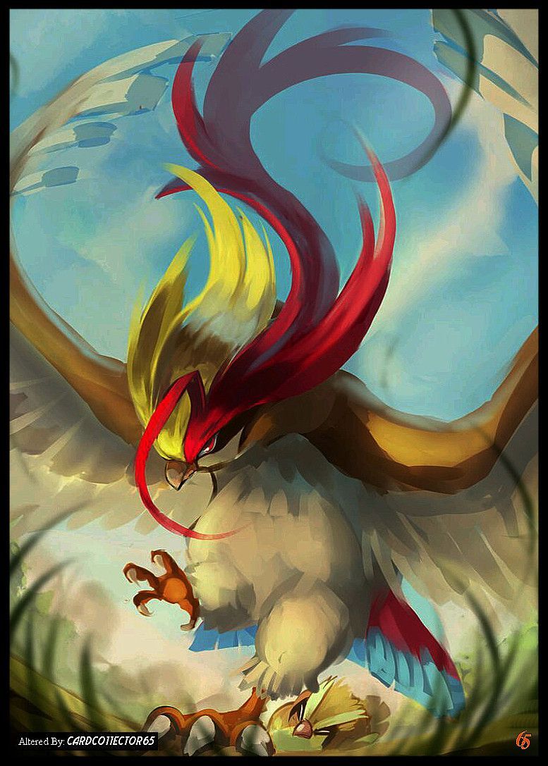 Mega Pidgeot Wallpapers - Wallpaper Cave