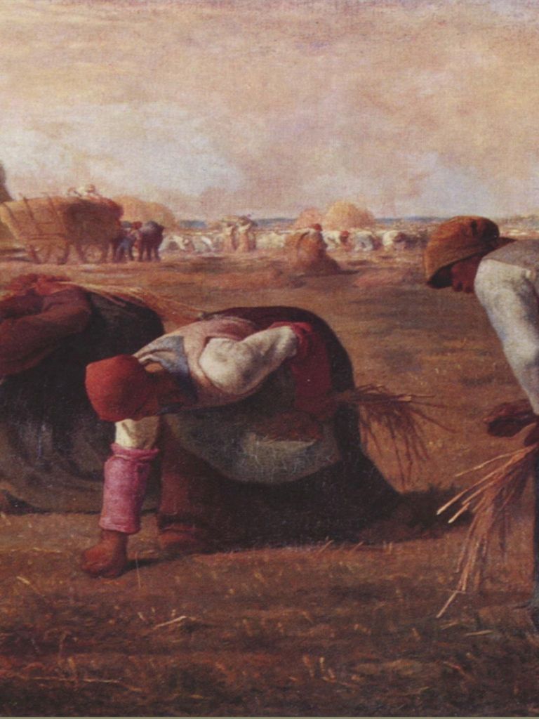 Millet Wallpapers - Wallpaper Cave