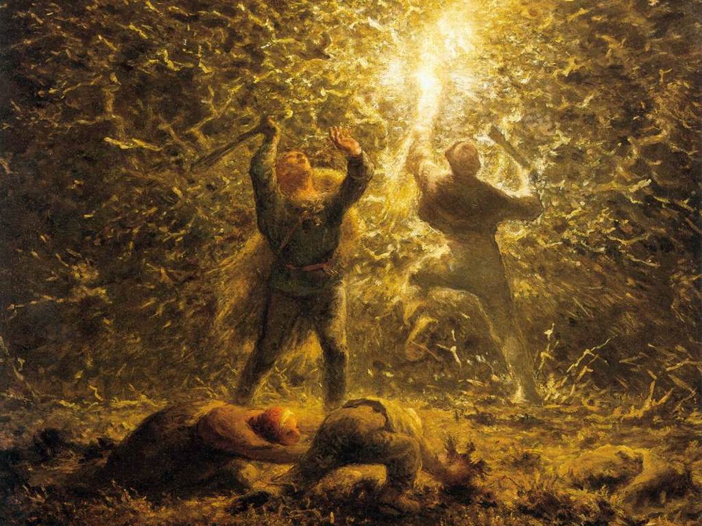 Millet Wallpapers - Wallpaper Cave