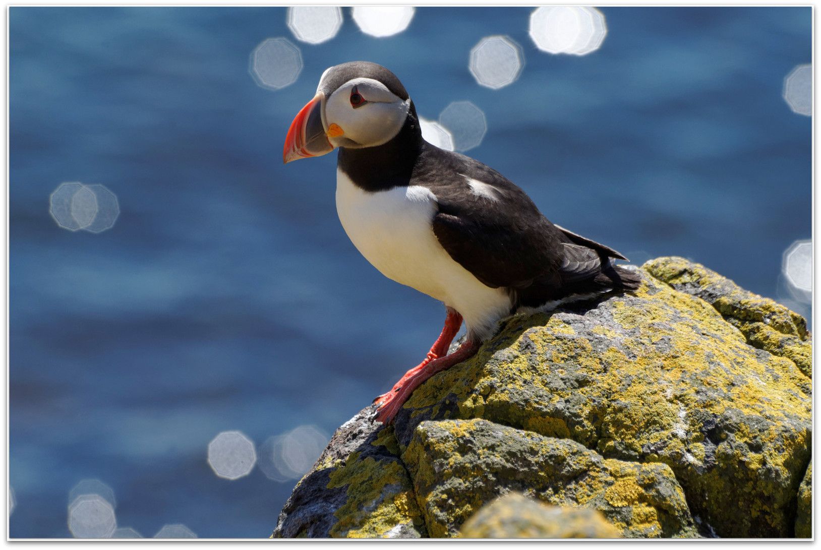 Scotland Summer Wallpapers - Wallpaper Cave