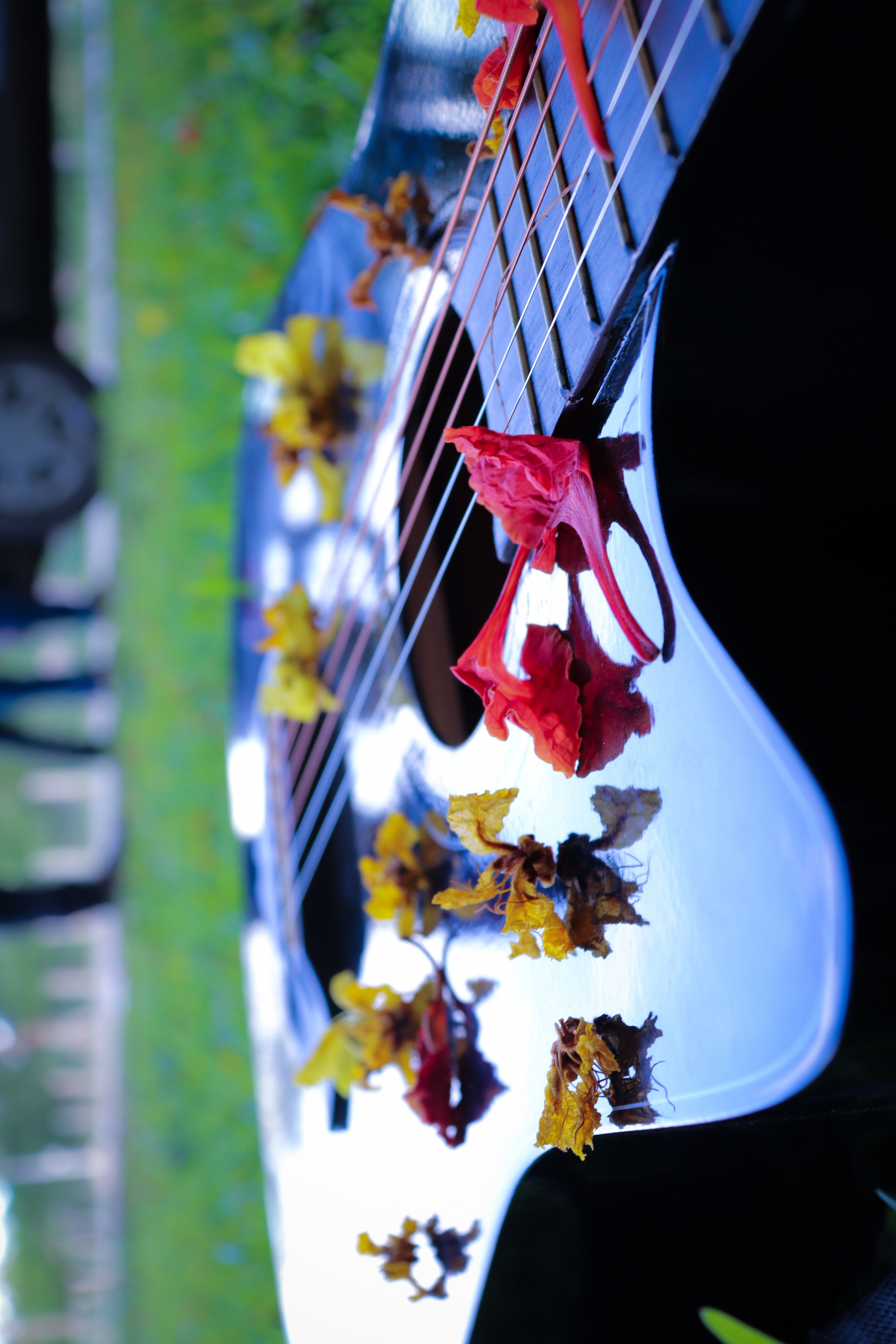 Instrument Wallpaper 4k