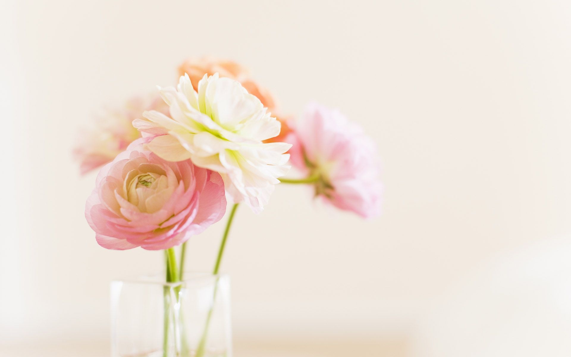 Soft Spring Wallpapers - Wallpaper Cave