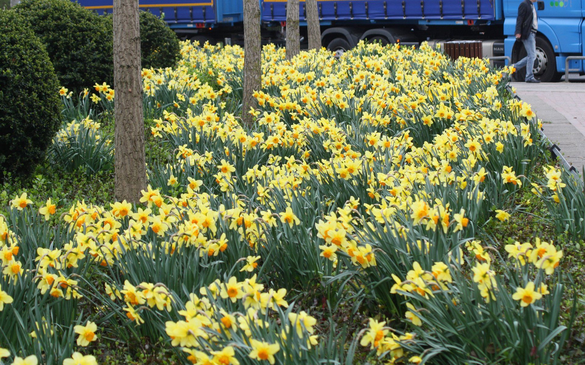 Soft Spring Wallpapers - Wallpaper Cave