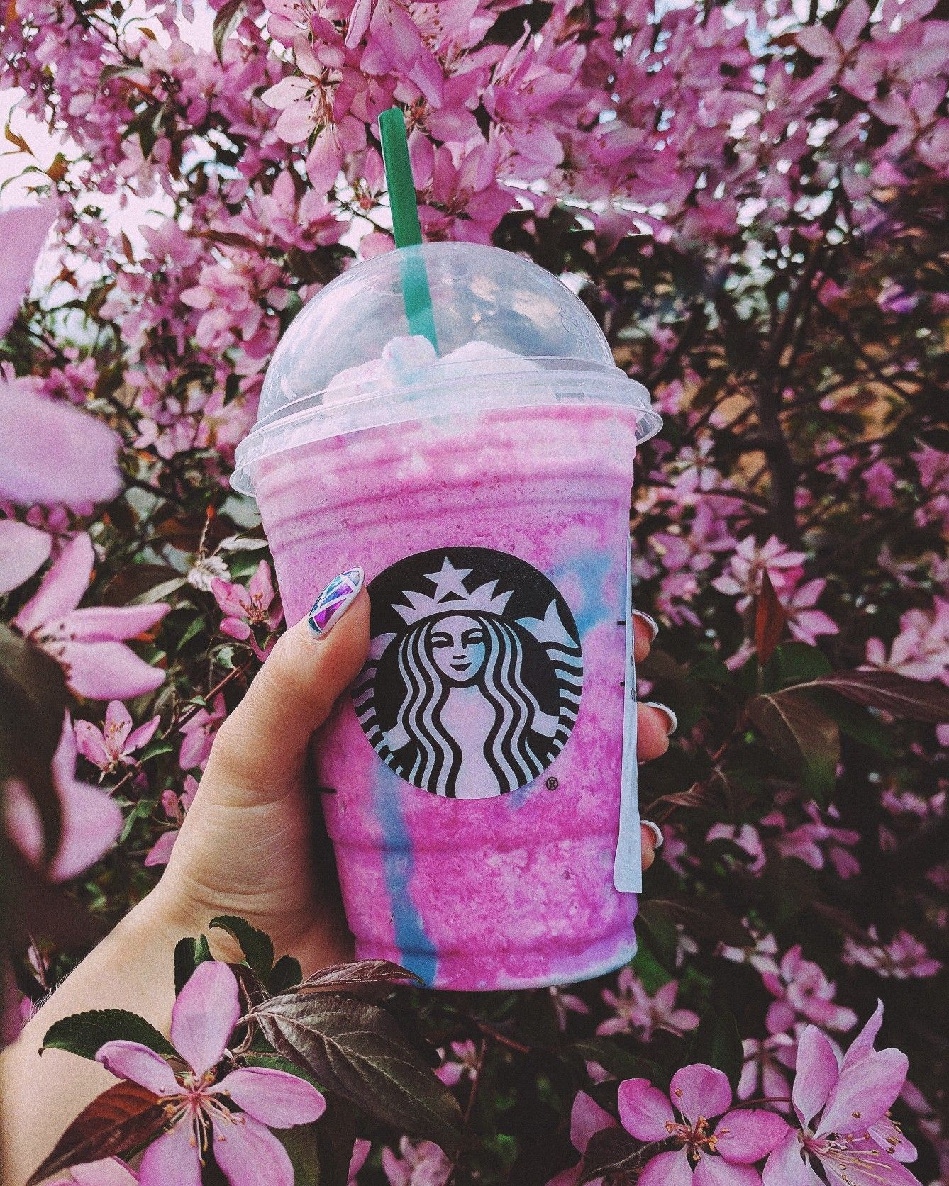 Spring Starbucks Wallpapers - Wallpaper Cave