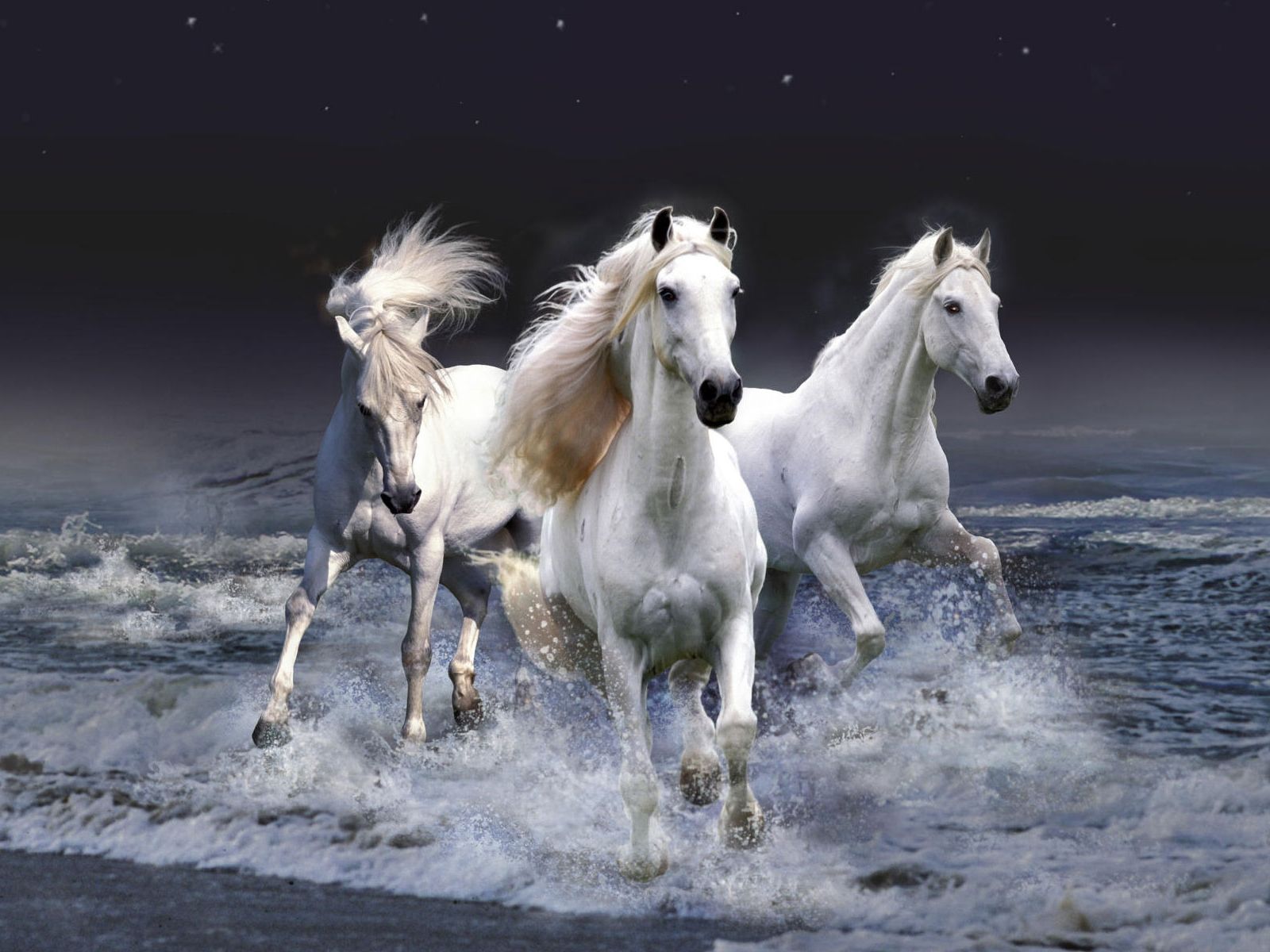 Wild Horse Wallpapers - Wallpaper Cave