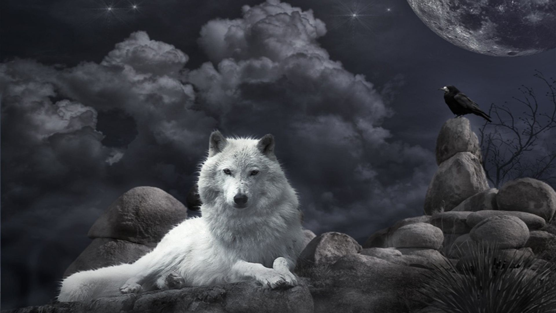 Wolf PC Wallpapers - Wallpaper Cave